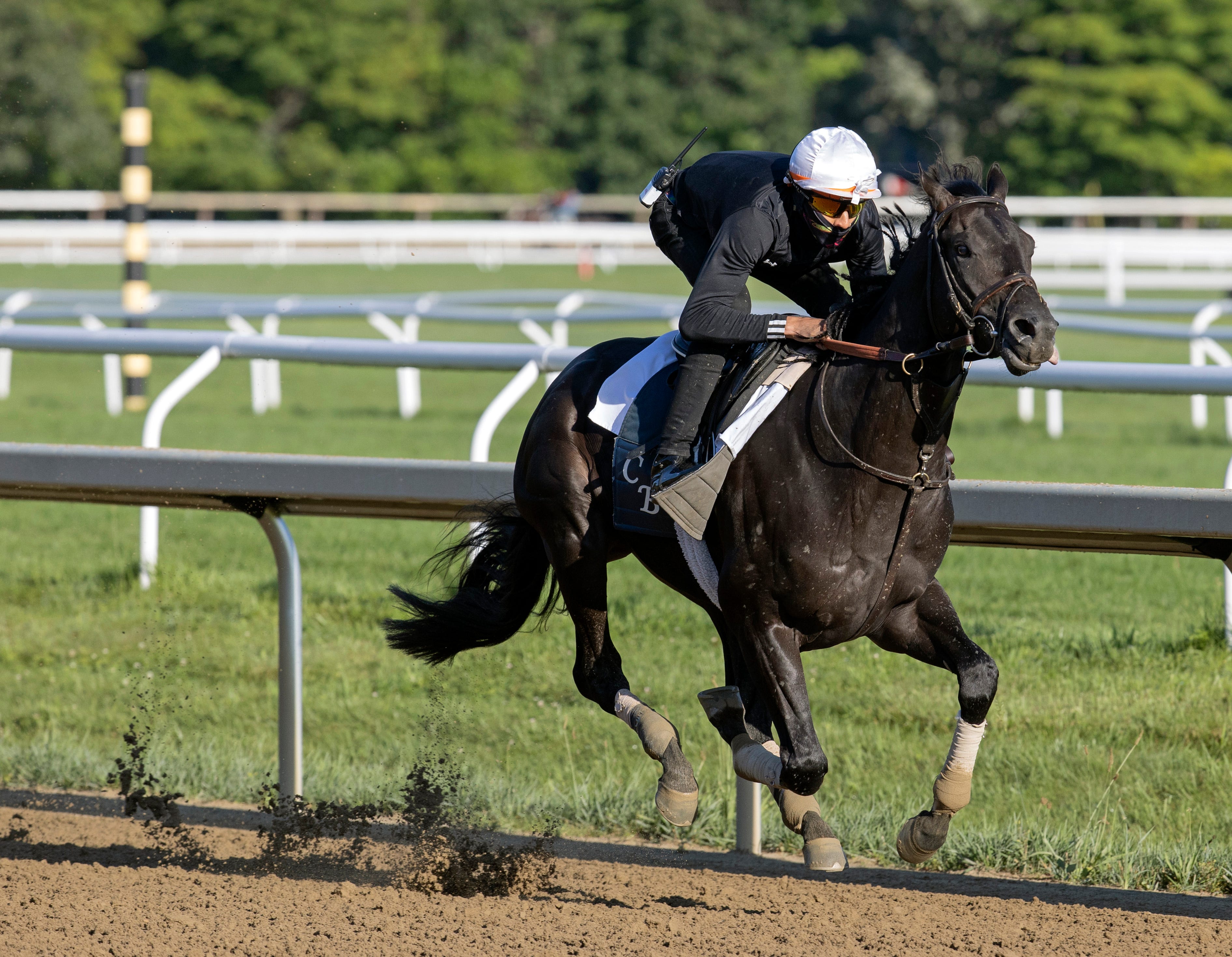 Zandon can snap long losing streak in Woodward Stakes
