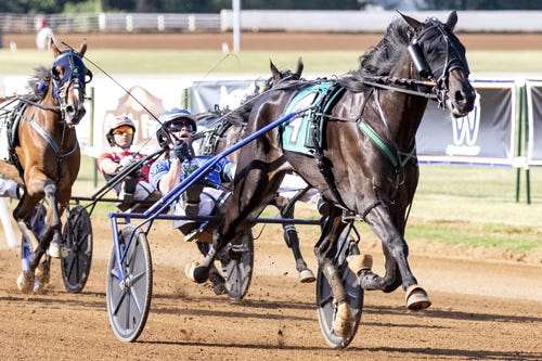 Red Mile: Trotters meet up in Kentucky Championship Series finals