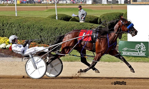 Delaware County Fair: Stakes records matched in Ohio Breeders Championships