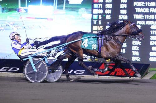 Harness: Roy Driven to Keep Things Rolling in 2024