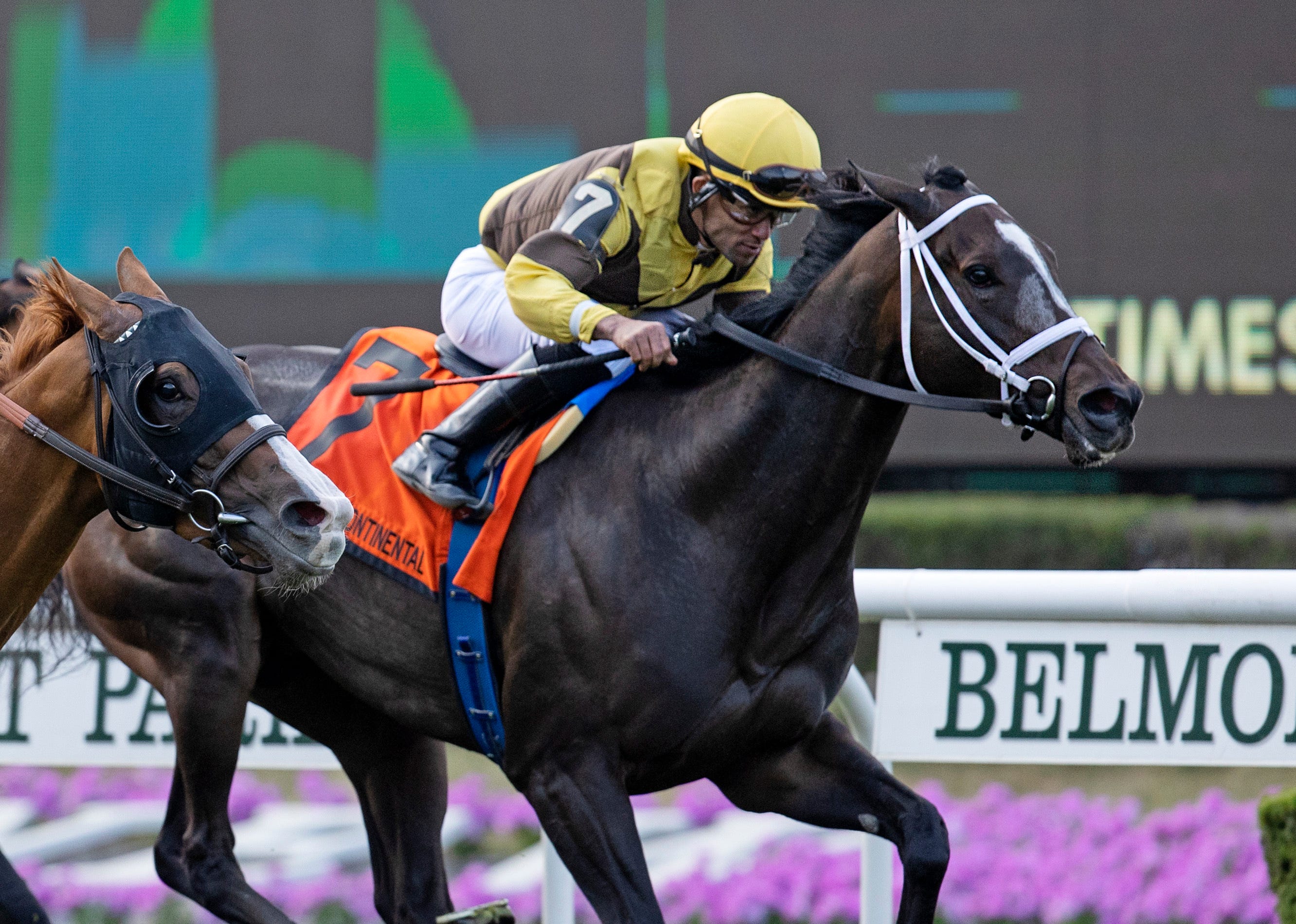 Bubble Rock gets back to softer, familiar foes in Floral Park