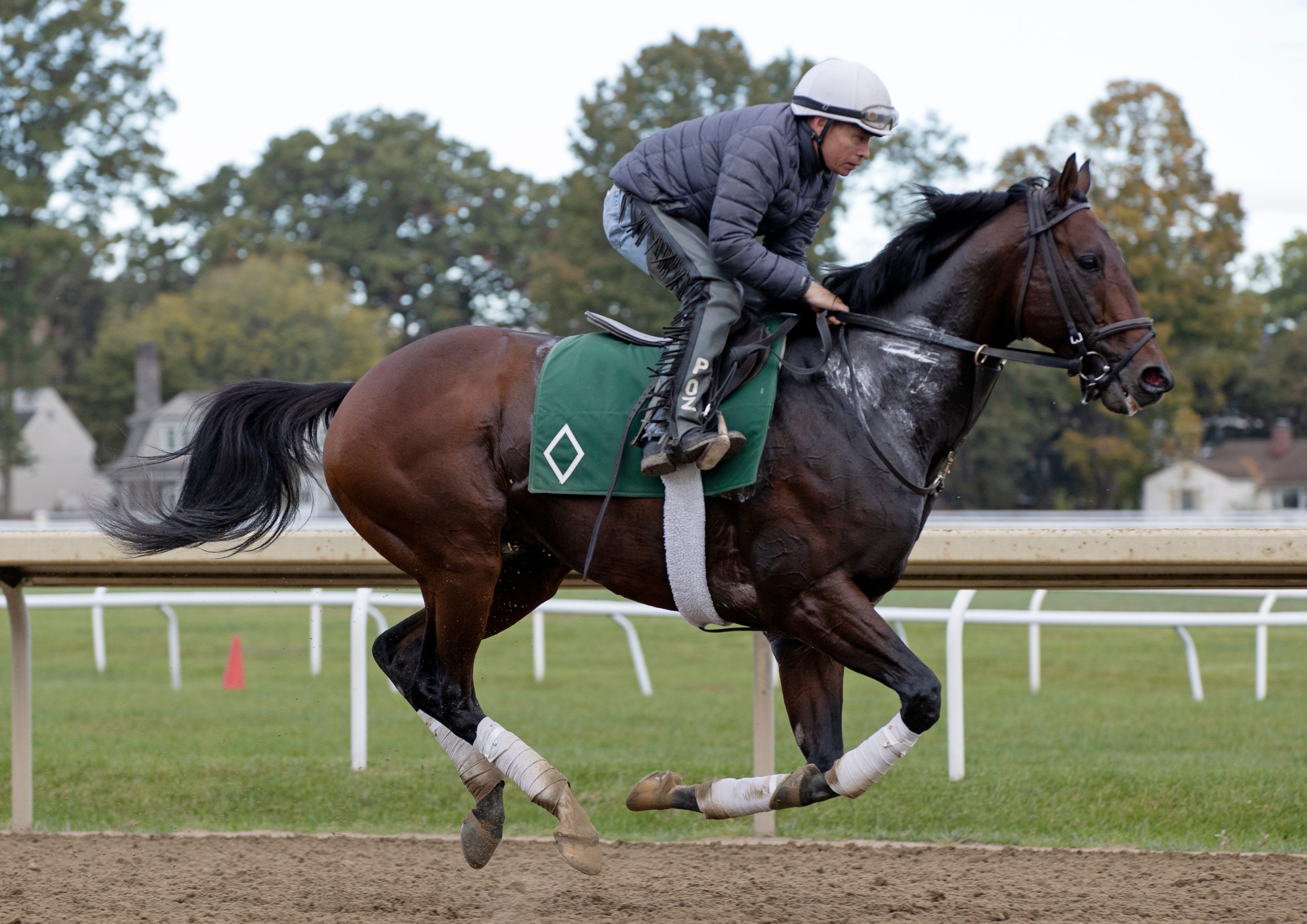 Breeders' Cup Mile: A much-improved Casa Creed returns to California