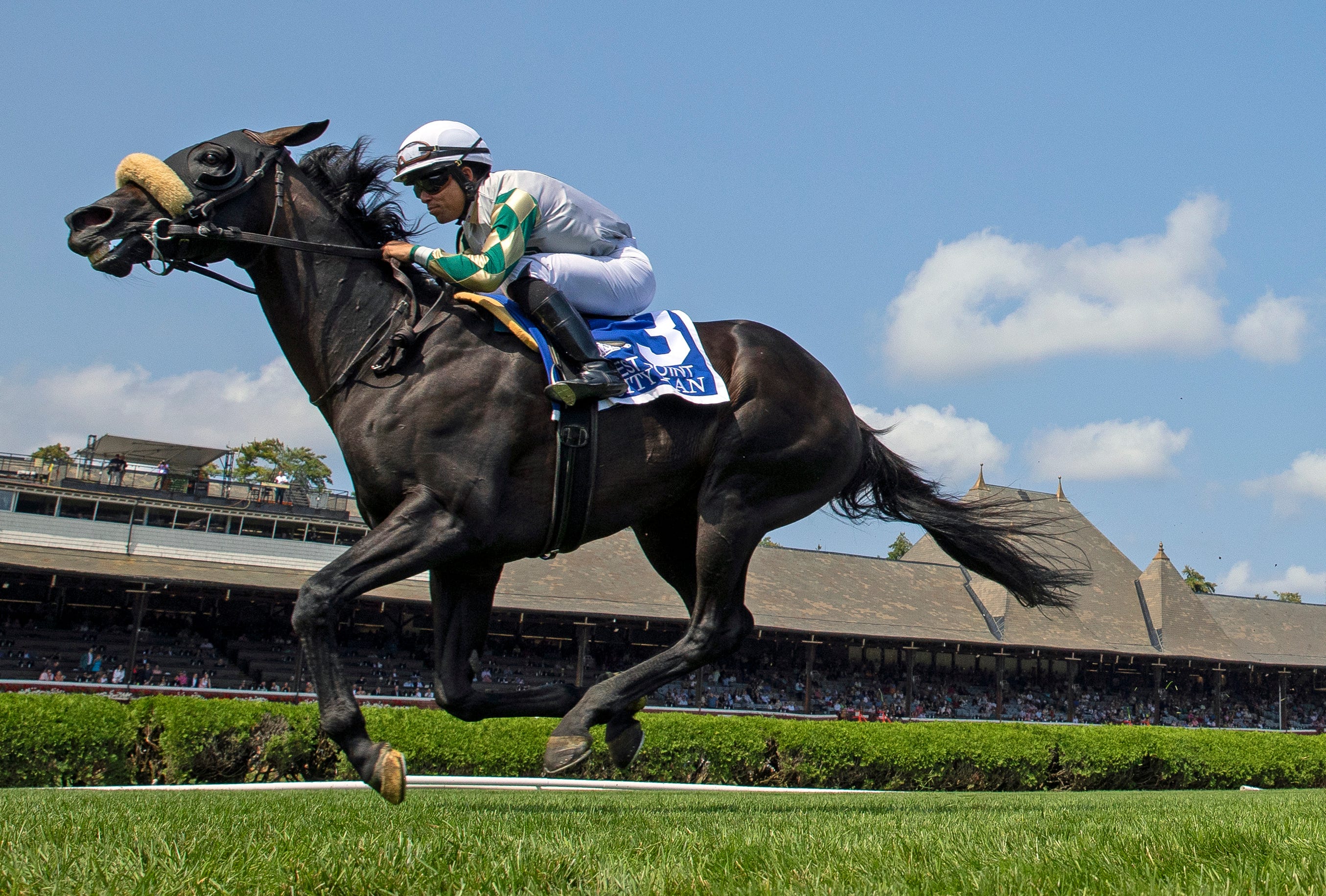 City Man, Runaway Rumour seek repeats in New York-bred turf stakes