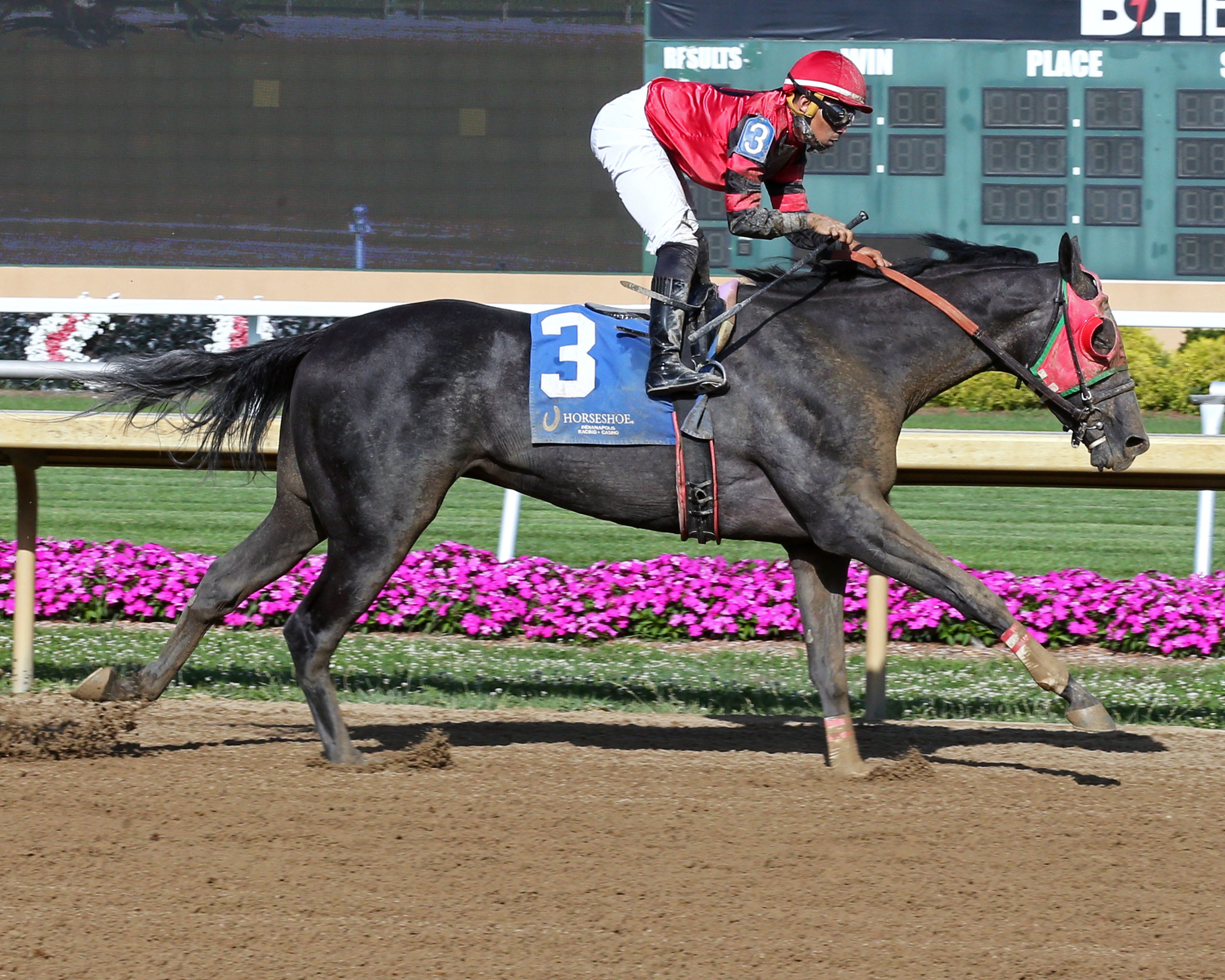 Corona Grande back with 3-year-olds in Unreachable Star