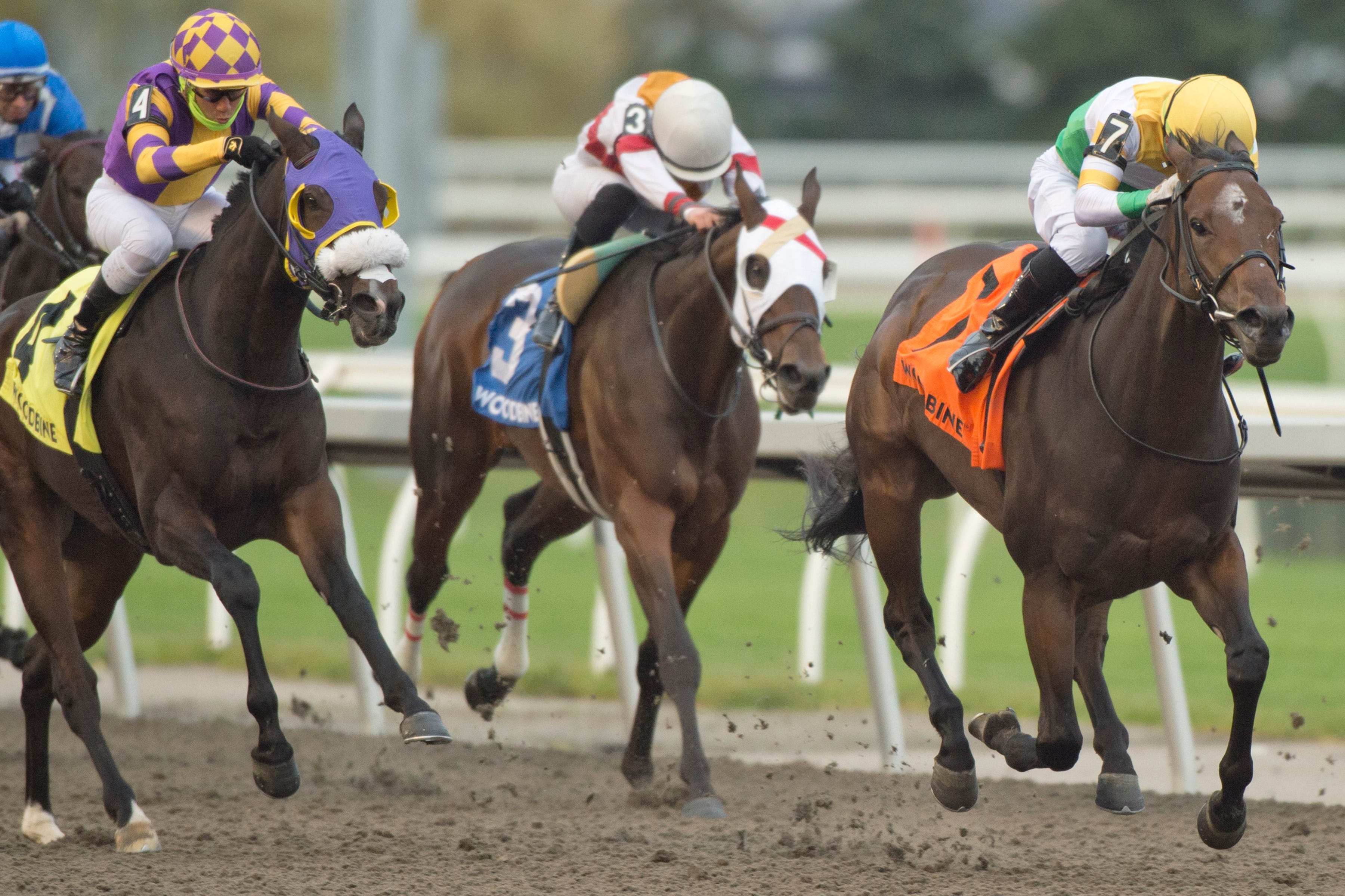 Touch’n Ride awarded first in Ontario Derby after Solo Album ...