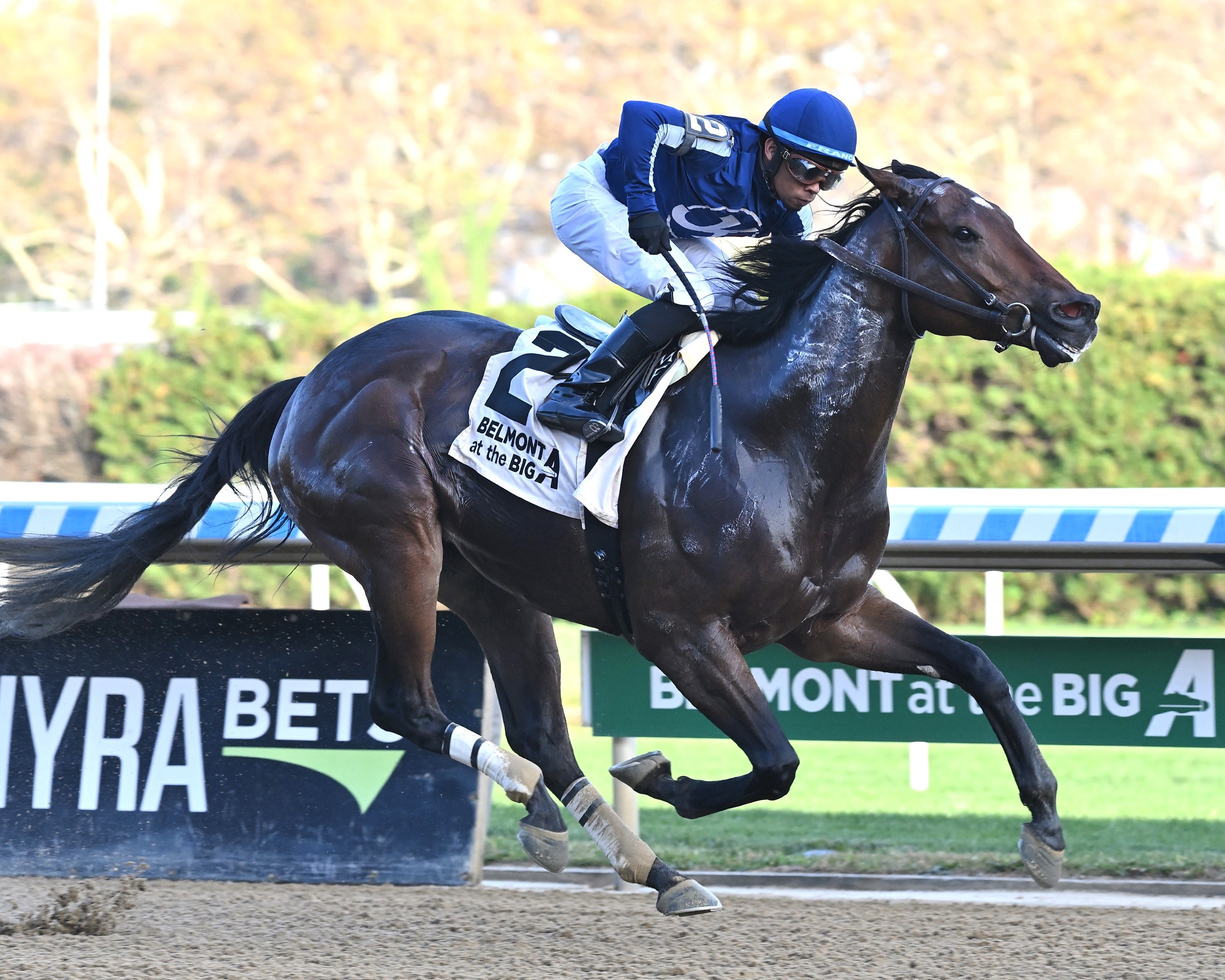 Durante's rapid rise continues with front-running Bold Ruler score