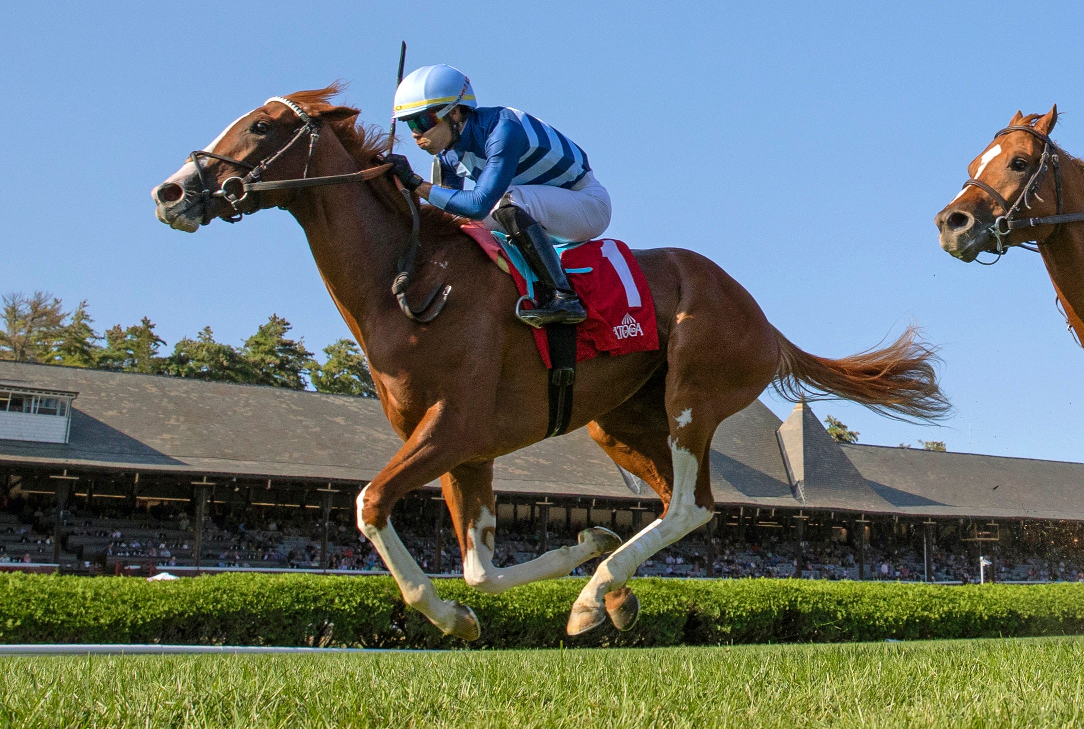 Gala Brand looks tough in Miss Grillo off victory in stakes against males