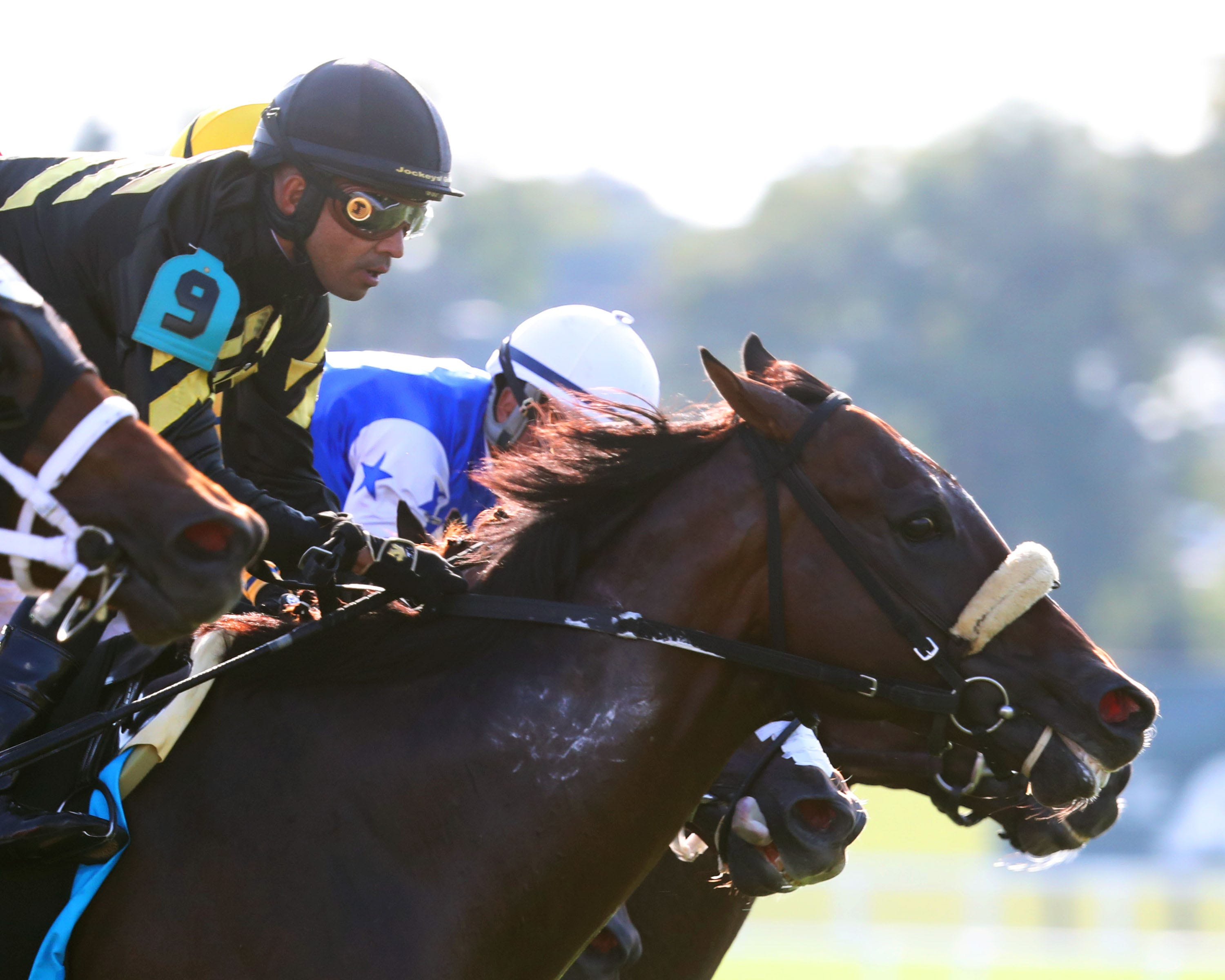 Breeders' Cup Turf Sprint: Gear Jockey must adjust to 5-furlong distance