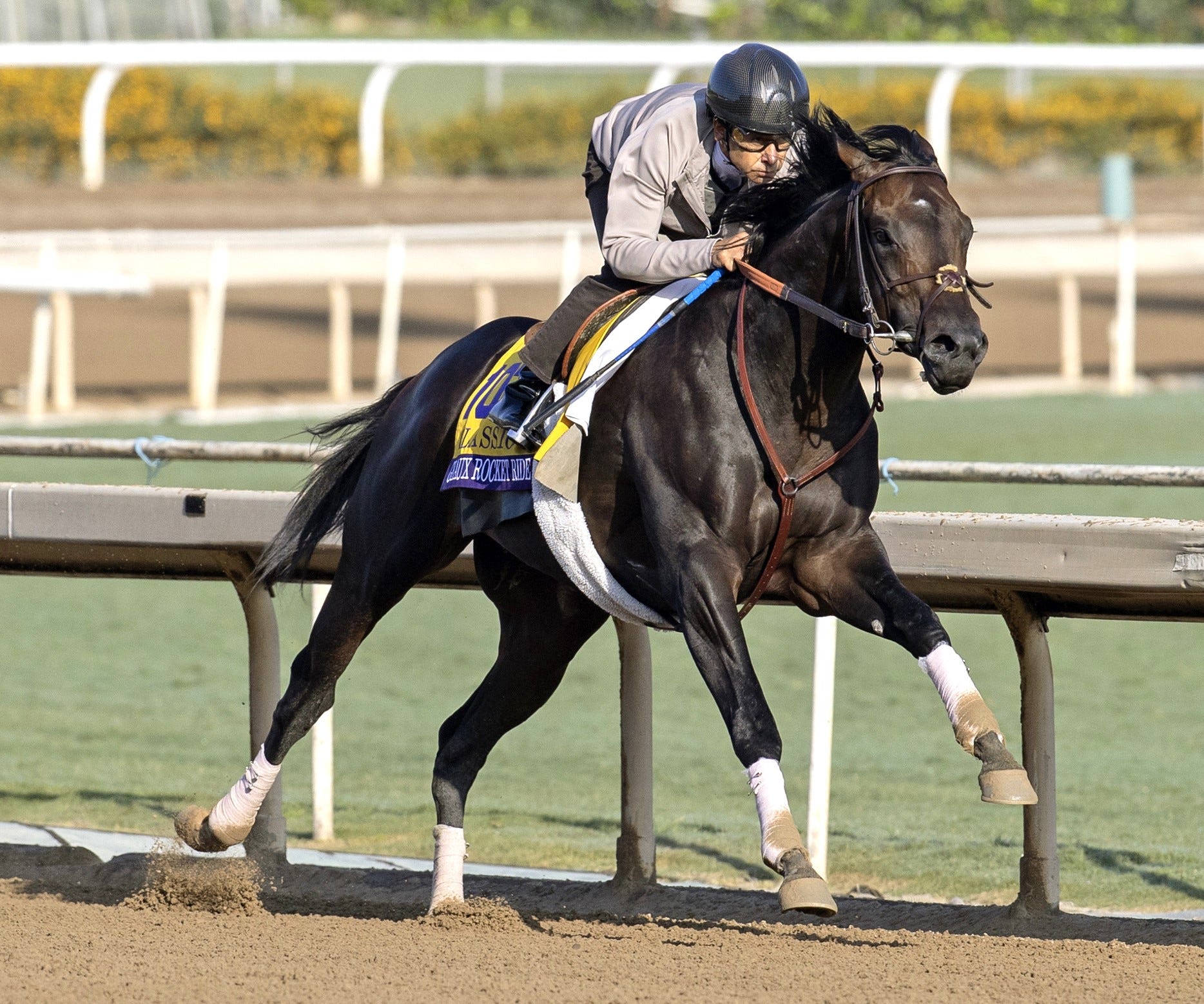 Geaux Rocket Ride having difficult time after surgery