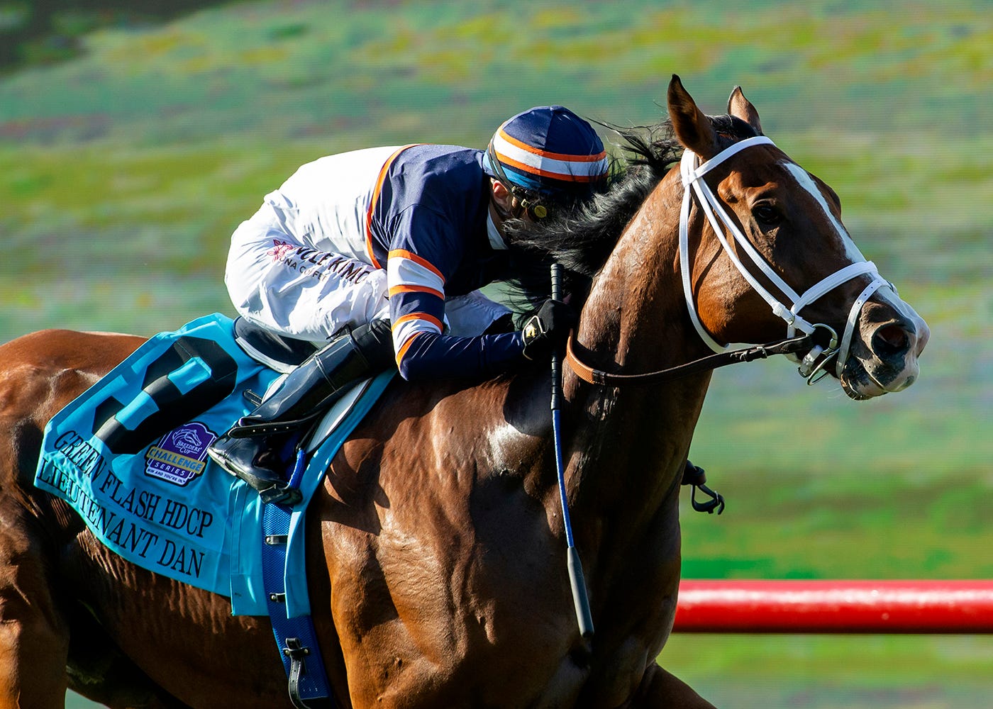 Multiple stakes winner Lieutenant Dan retired