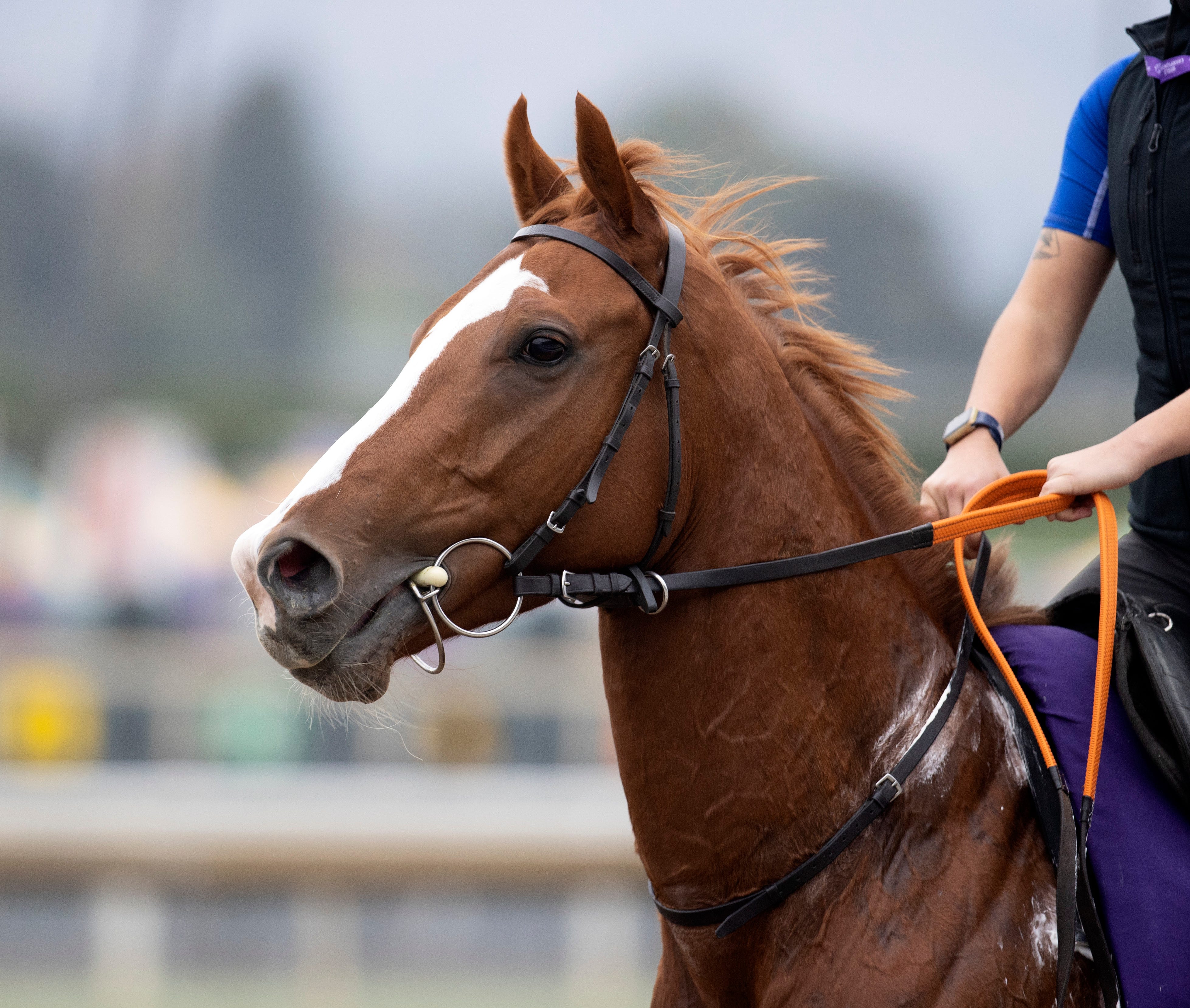 Breeders' Cup Turf Sprint: Live in the Dream has the speed to lead