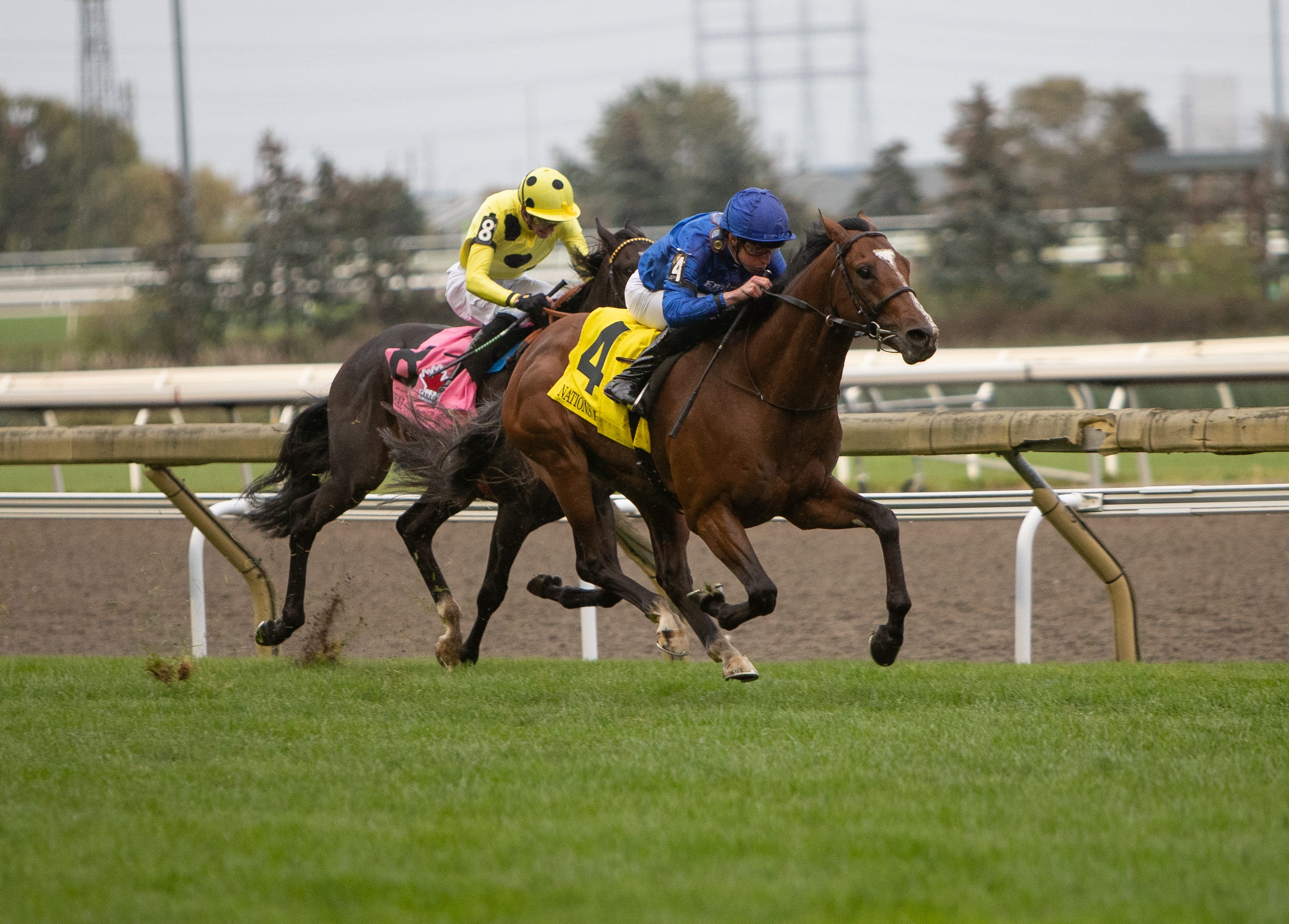 Nations Pride outlasts Royal Champion in Canadian International