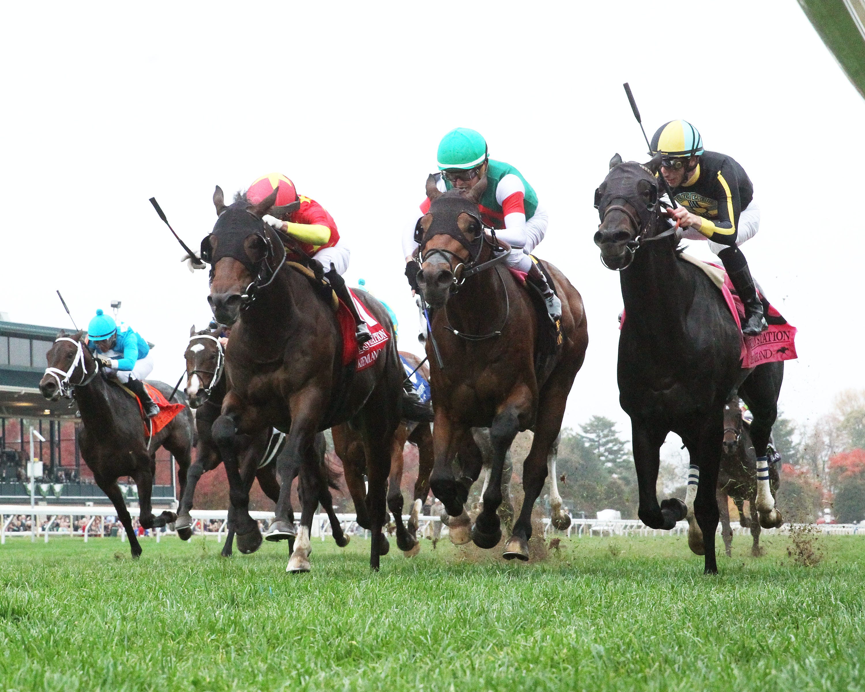 DRF's Horse Racing Playbook for Friday, April 25, 2025