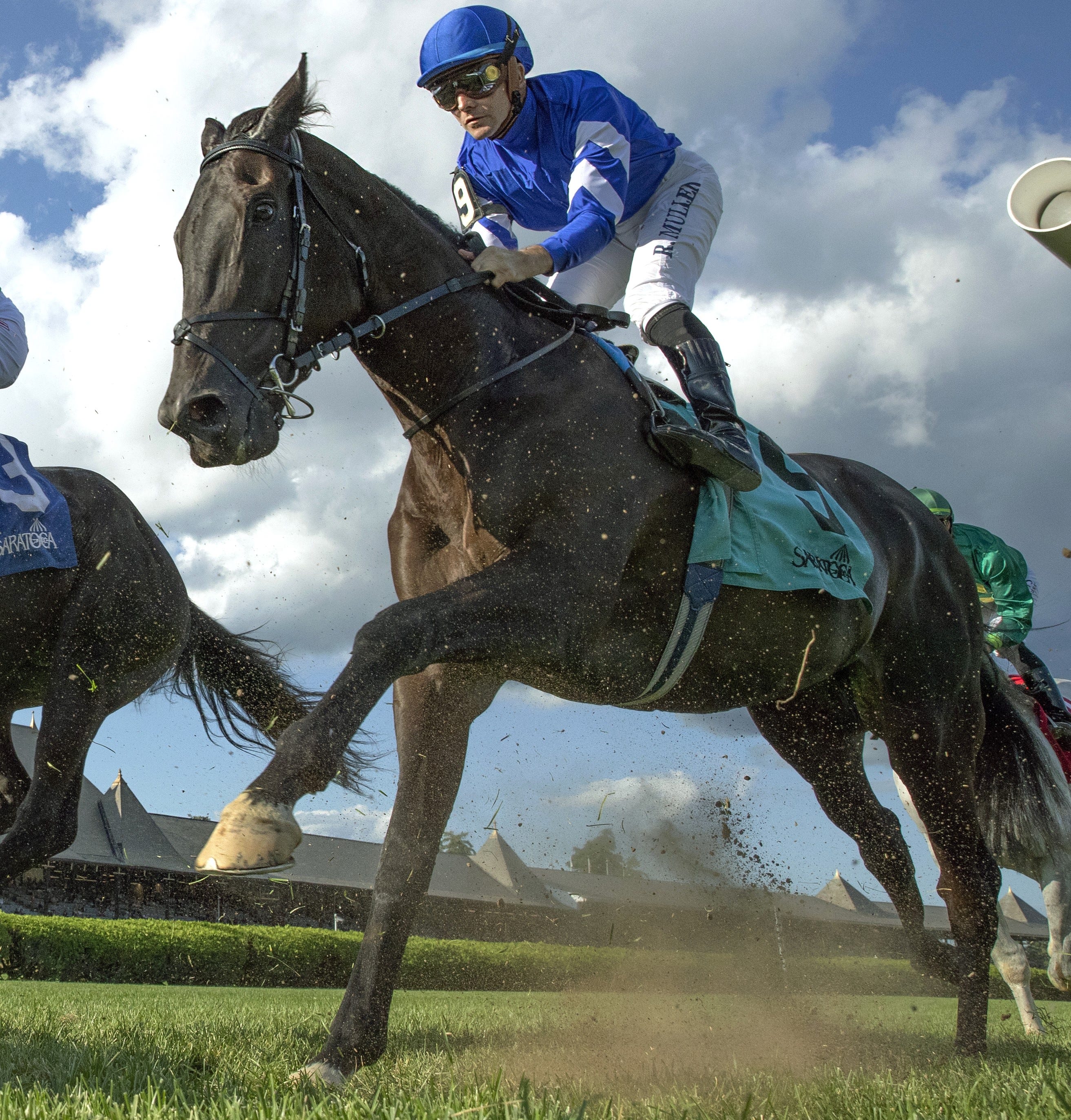 Regardless of ground, Rebel's Romance ready for Joe Hirsch Turf Classic