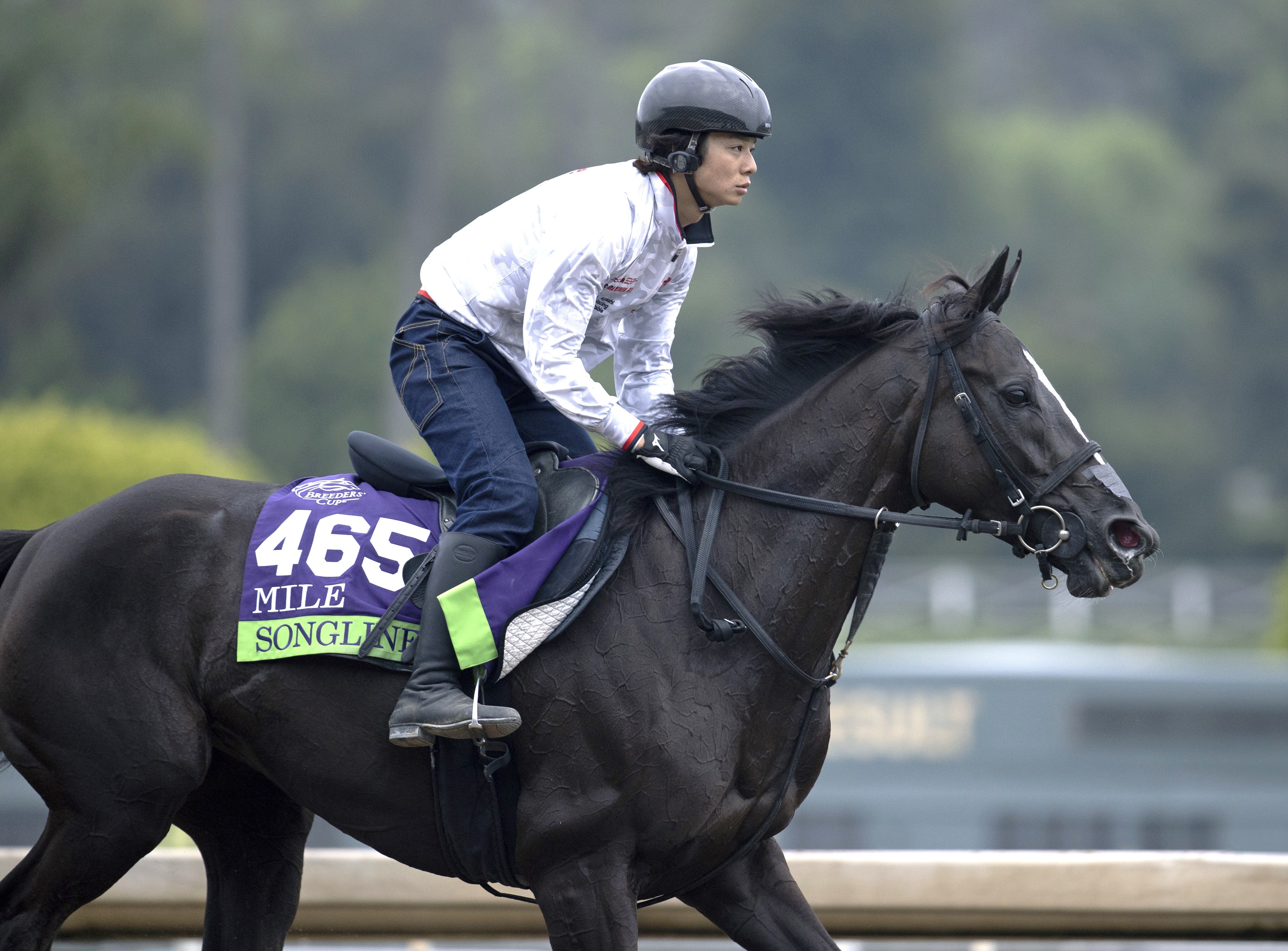 Breeders' Cup Mile: Japan star Songline being overlooked