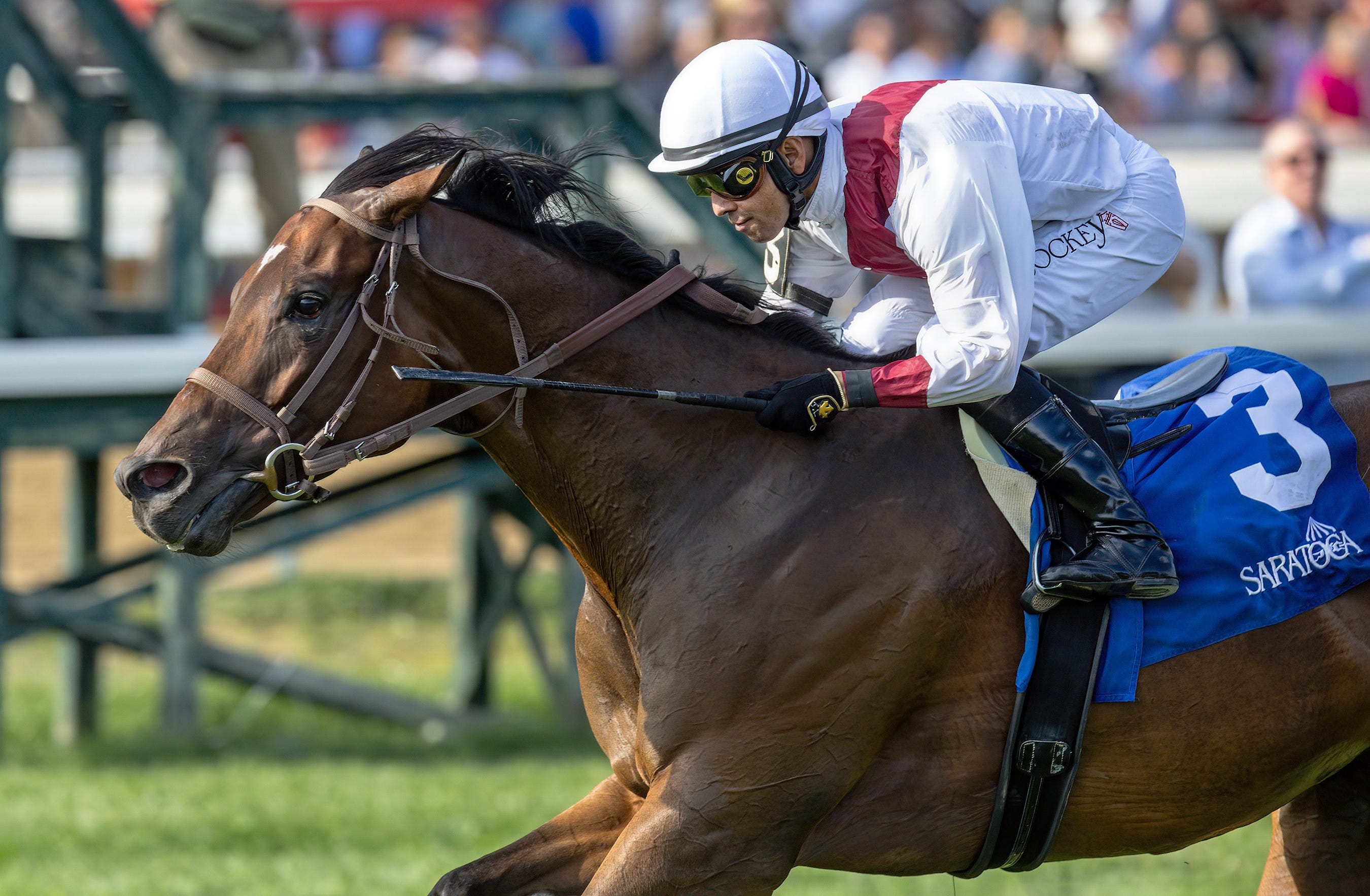 Thin White Duke could get right setup in Belmont Turf Sprint
