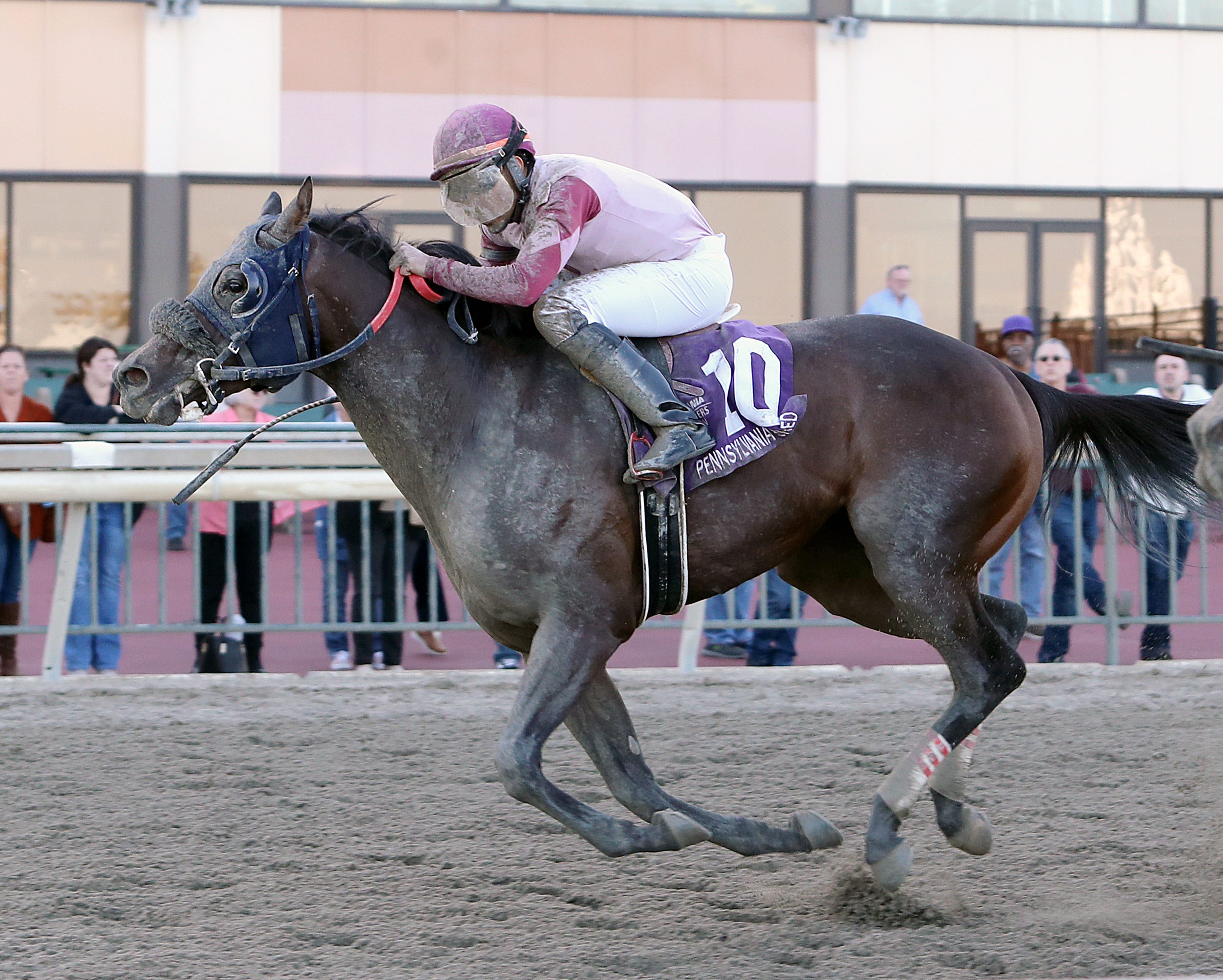 After blazing early fractions, late-running longshots fill Jump Start ...