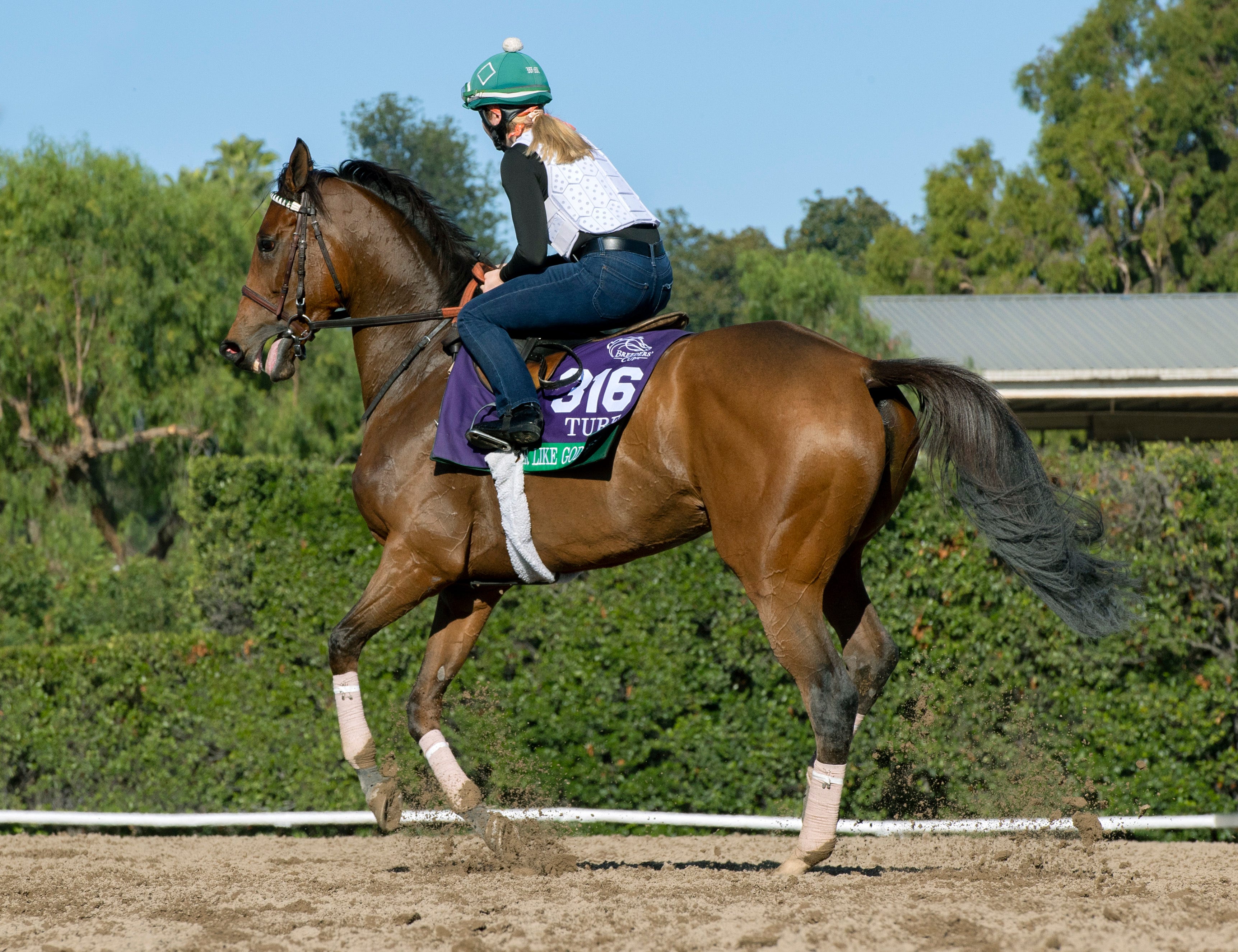 Breeders' Cup Turf: At age 6, War Like Goddess may be sitting on best race