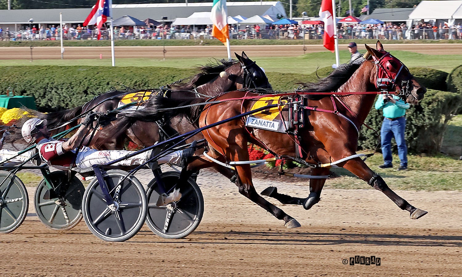 Northfield: Zanatta ready to go for Courageous Lady