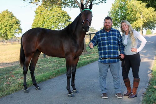 Harness: Spring Station makes Lexington debut with a dozen yearlings