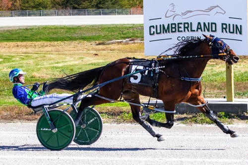 Cumberland Run: Doubles for McCarthy, Miller in Kentucky Sires Stakes ...