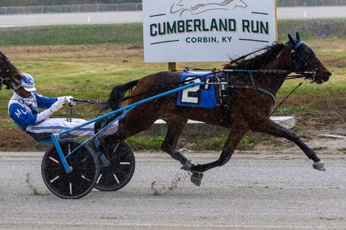 Cumberland Run: Rookie trotters race in Kentucky Sires Stakes elims
