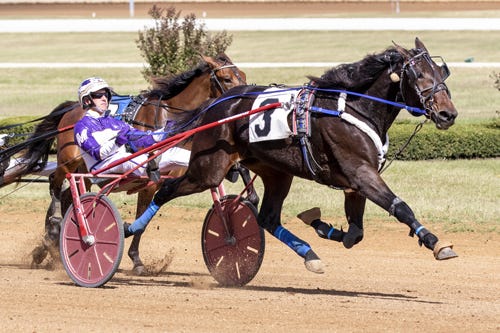 Red Mile: Rookie filly trotters tangle in International Stallion Stakes