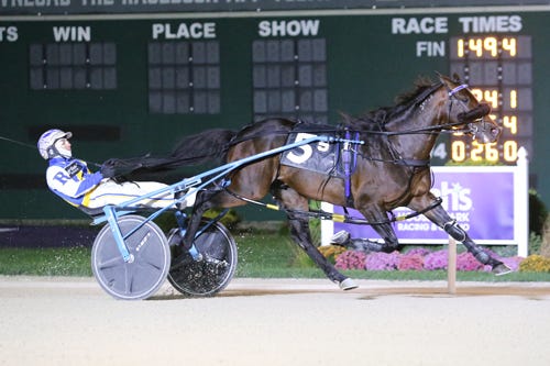 Breeders Crown: Post positions drawn for open and sophomore male events