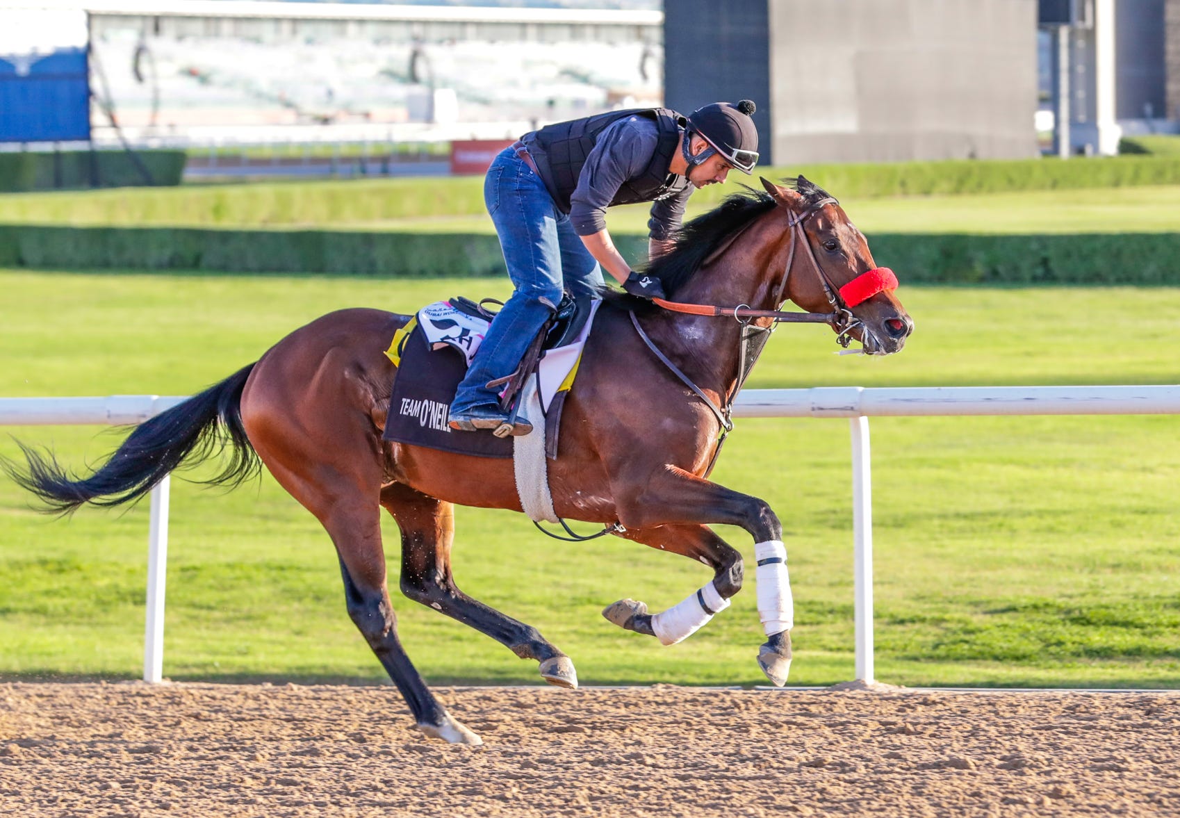 Del Mar begins turf-packed autumn meet with revived pick six