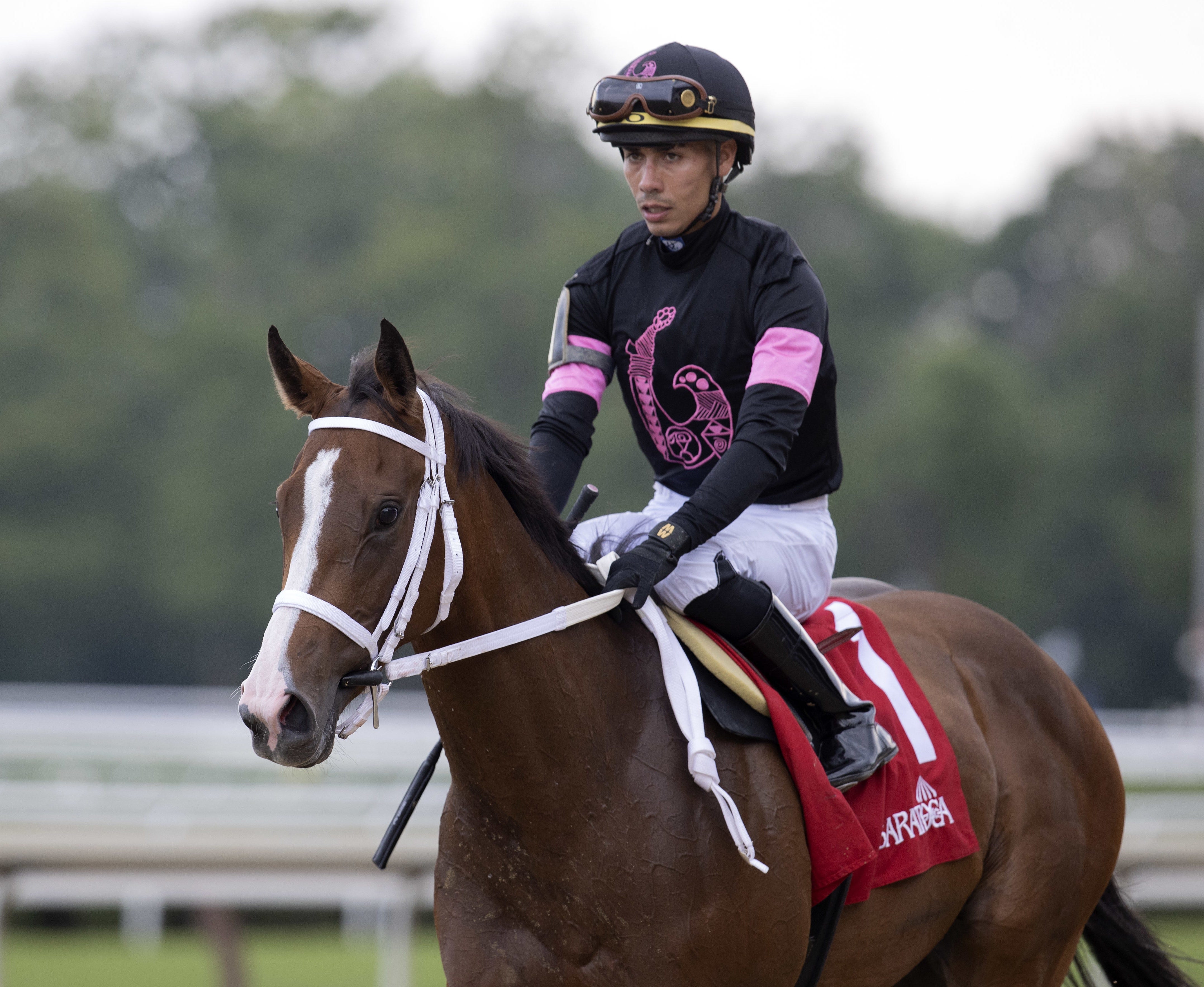 Carmelina needs to keep her cool prior to Shamrock Rose