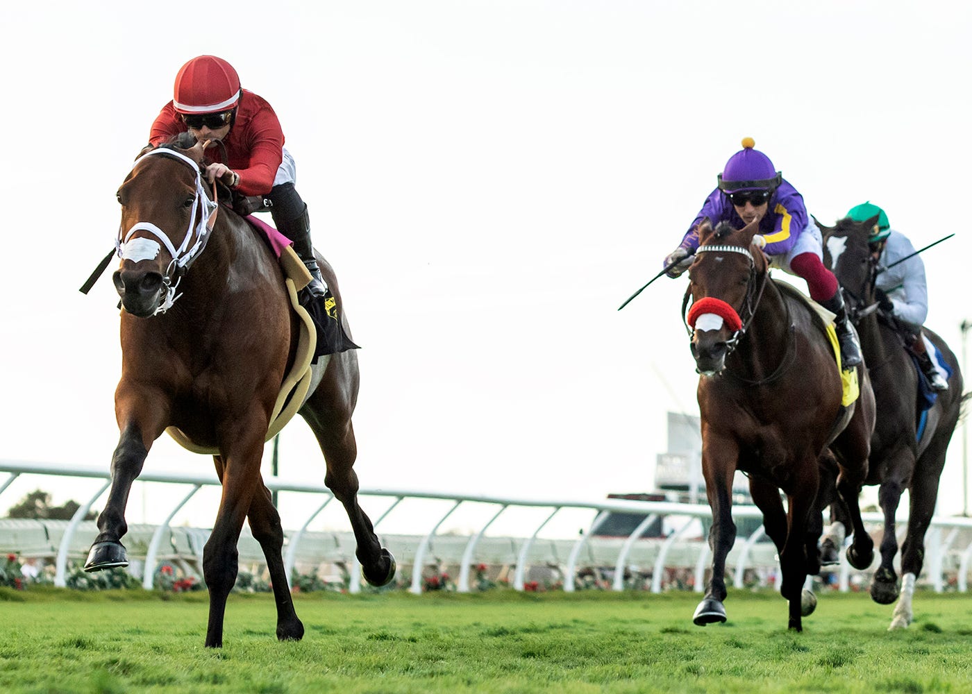 Dandy Man Shines goes last to first in opening-day Let it Ride