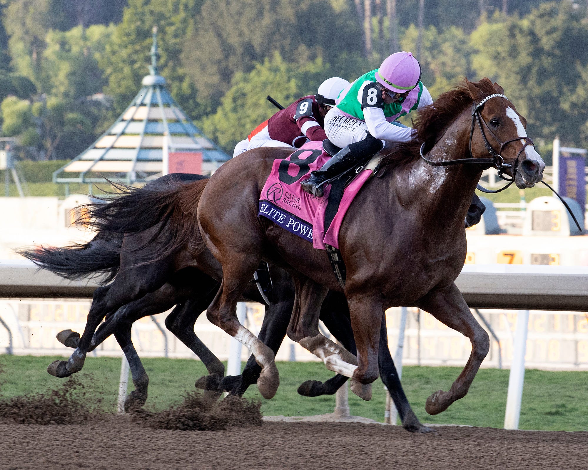 Breeders' Cup Sprint: Elite Power bests Gunite in final chapter of rivalry