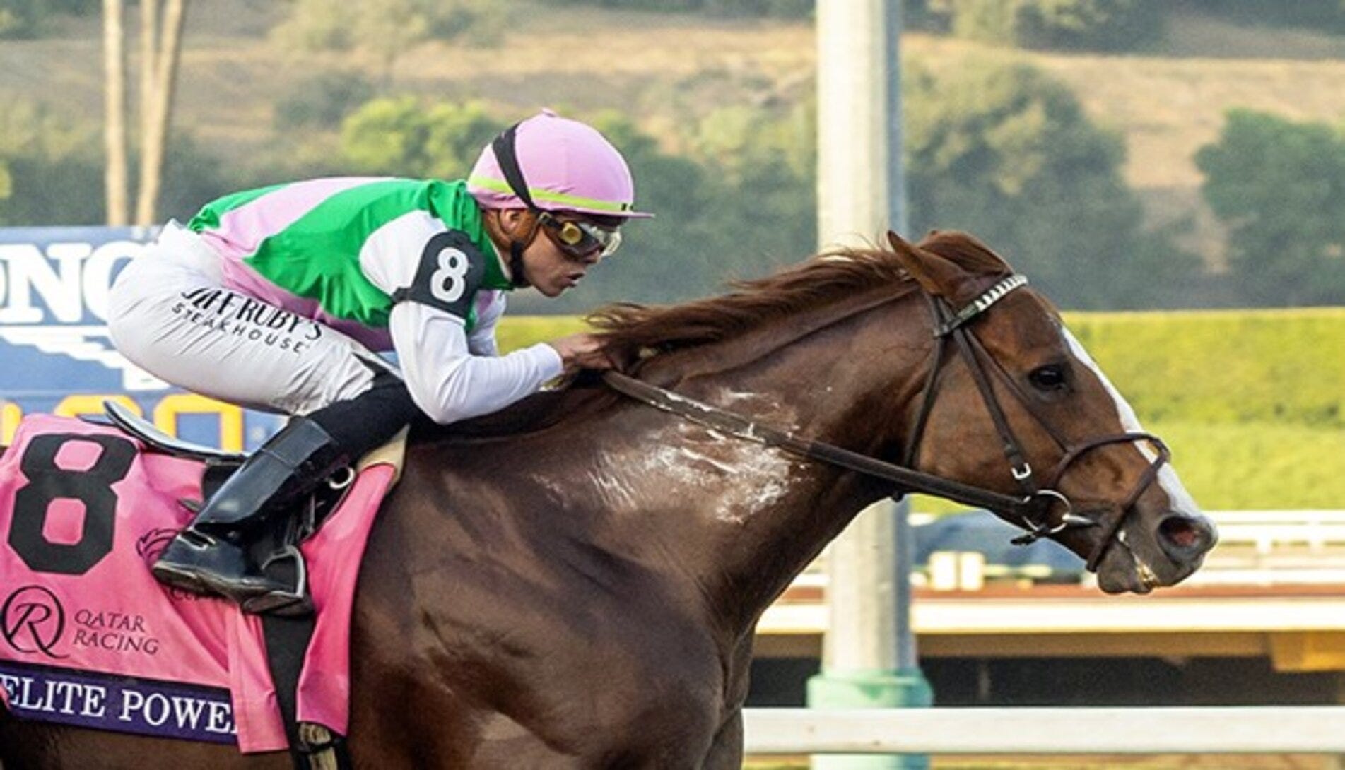 Breeders' Cup 2024 - News, Results And Entries | Daily Racing Form