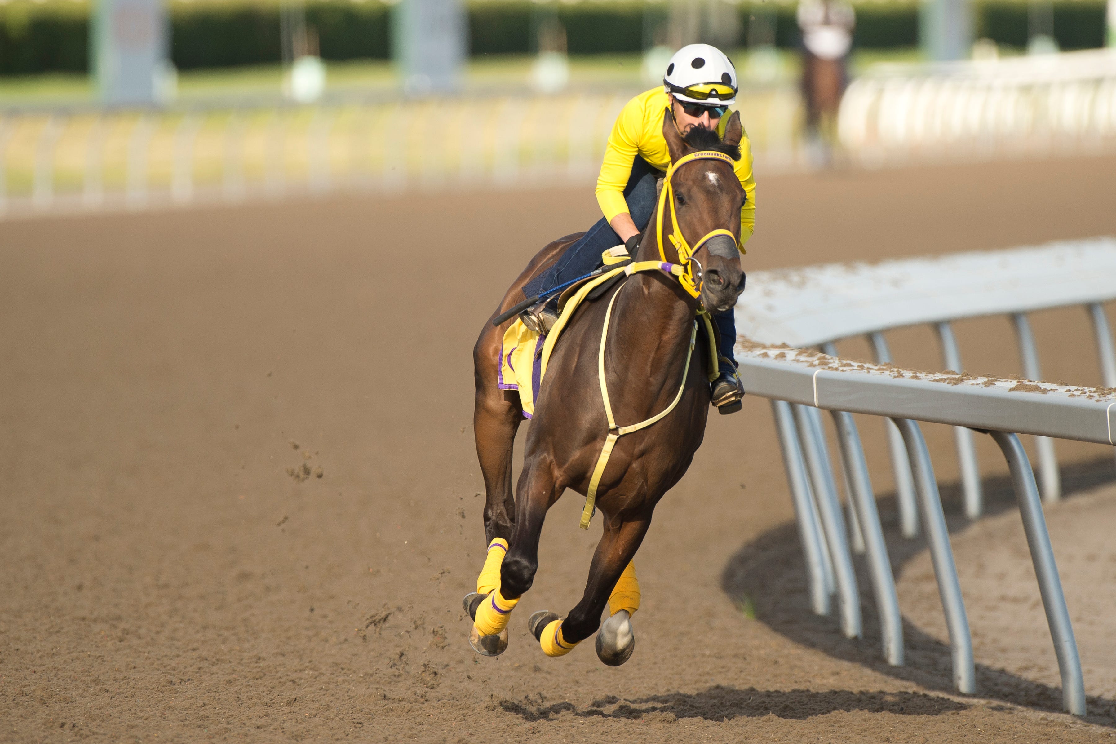 Hunt Master hopes turf form translates to Tapeta