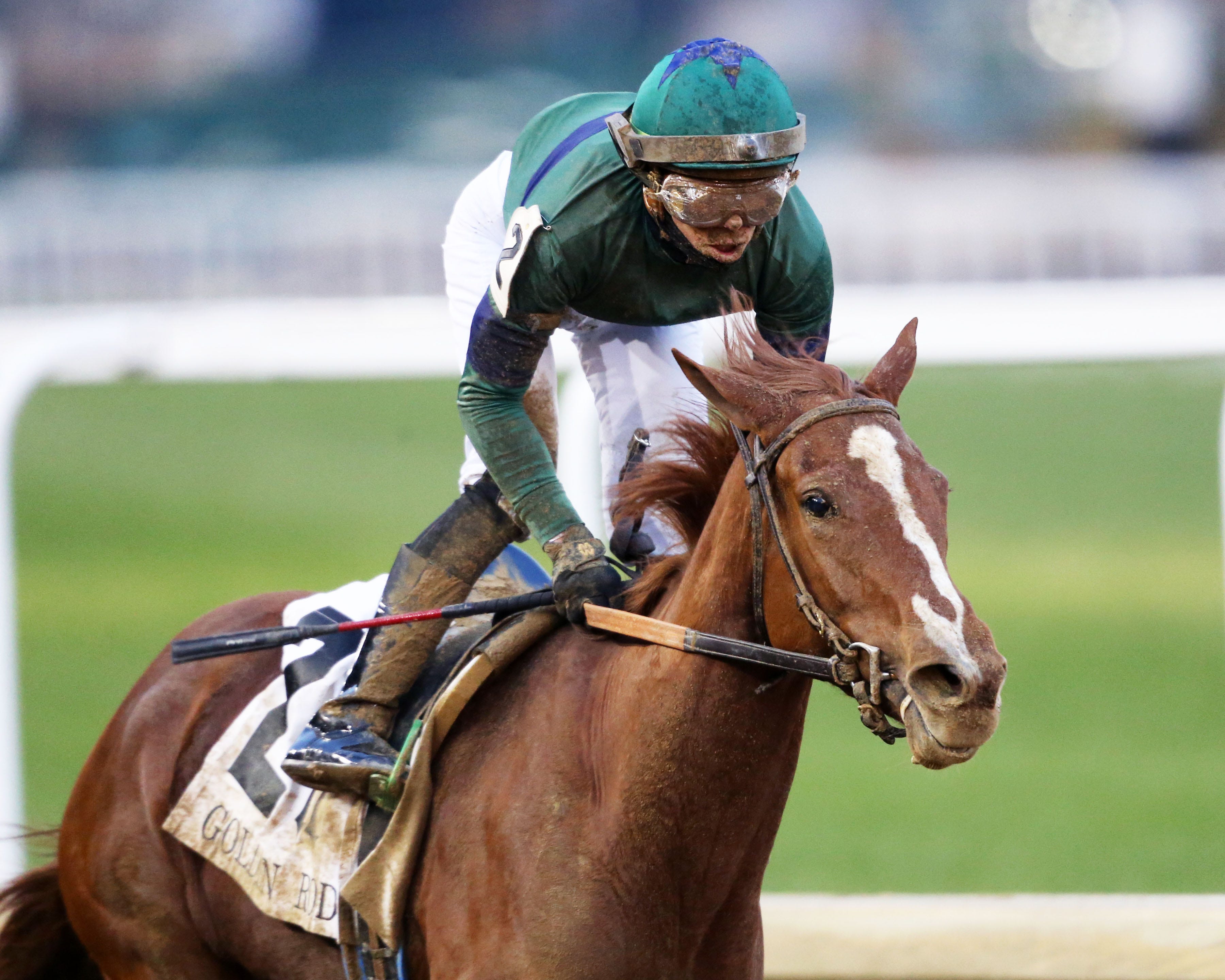 Intricate cruises to easy win in Golden Rod Stakes