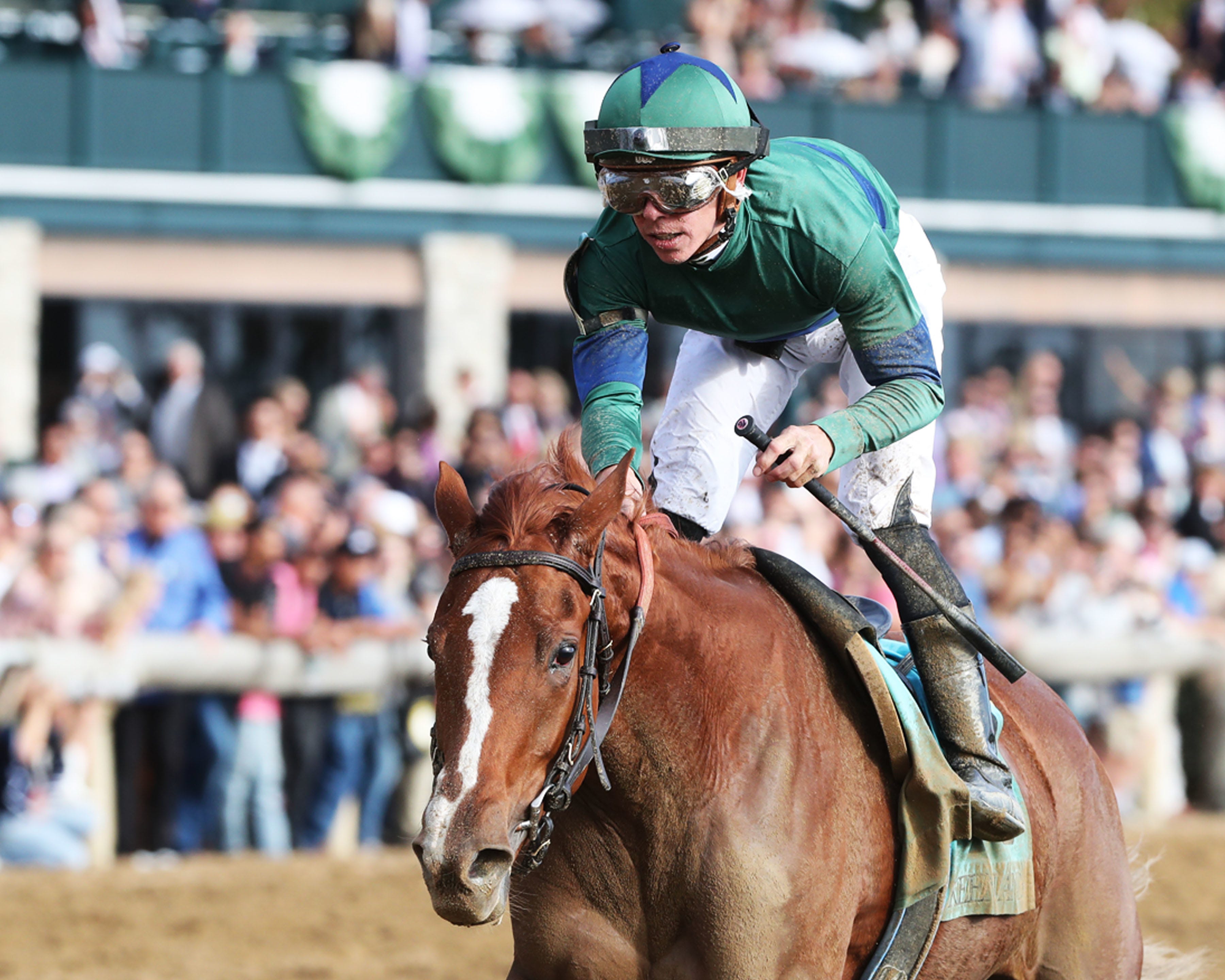 Walsh has familiar plan for Intricate