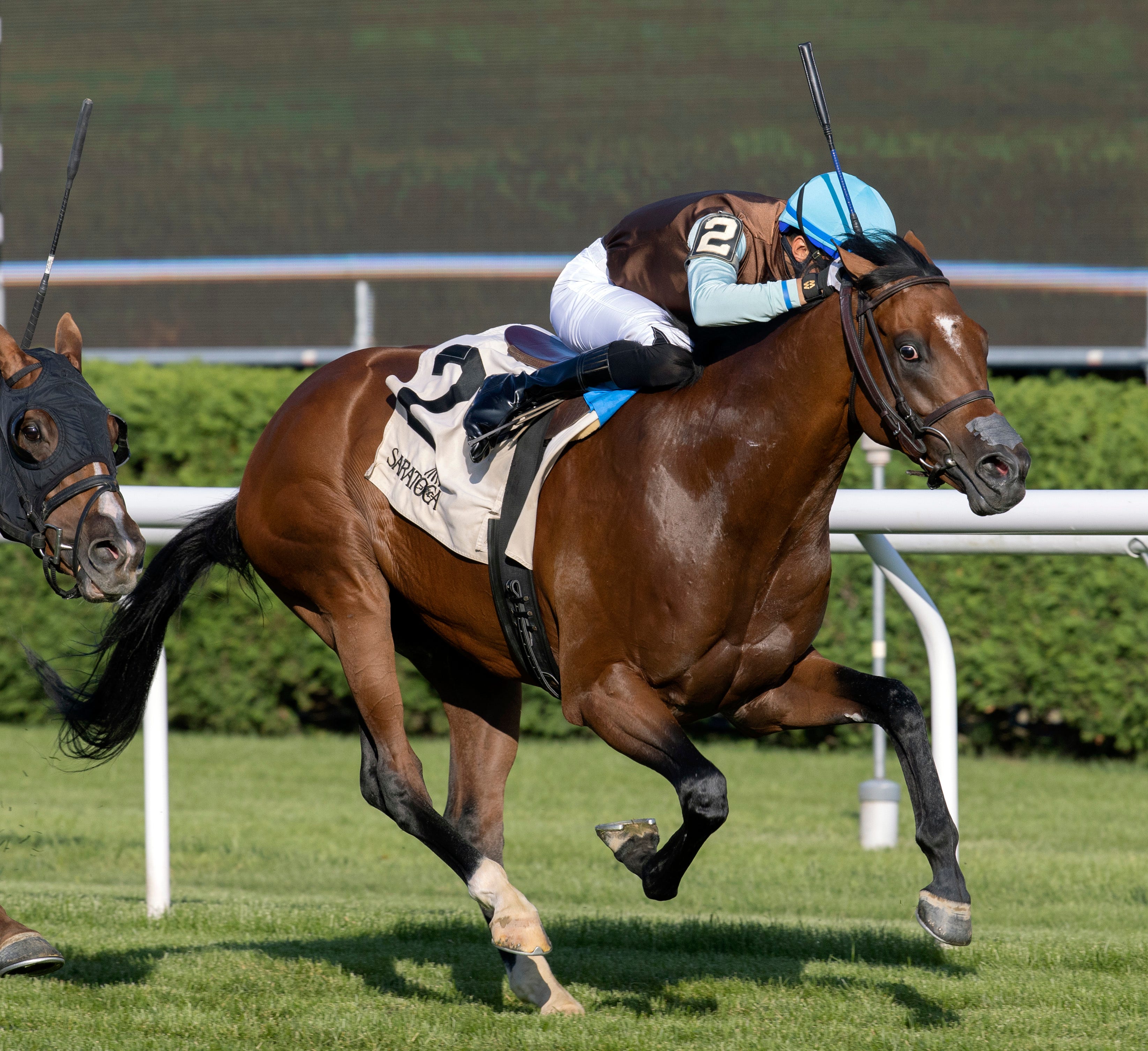 Garber gets career started with Agent Creed