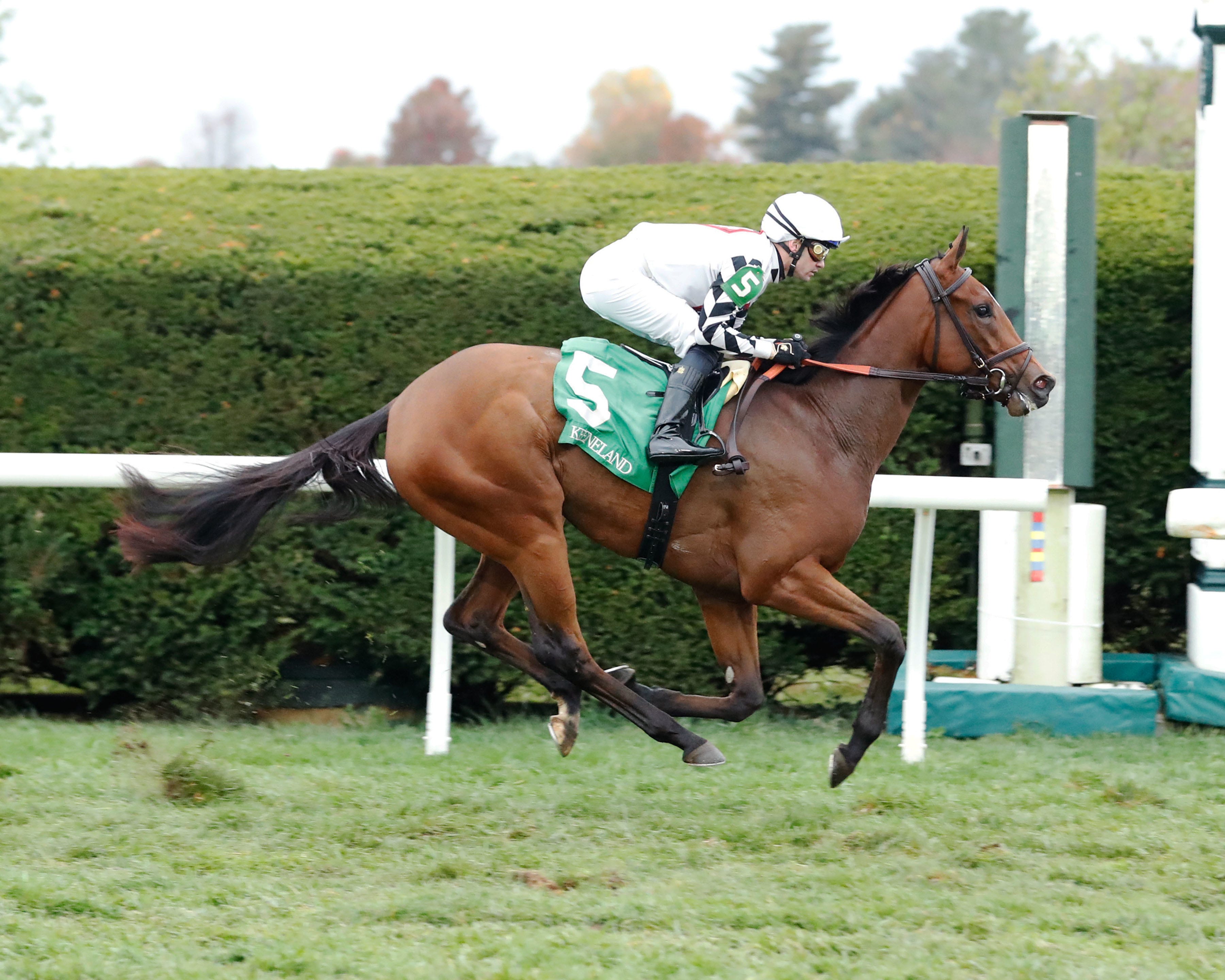 Lady de Berry has right style for Jimmy Durante Stakes