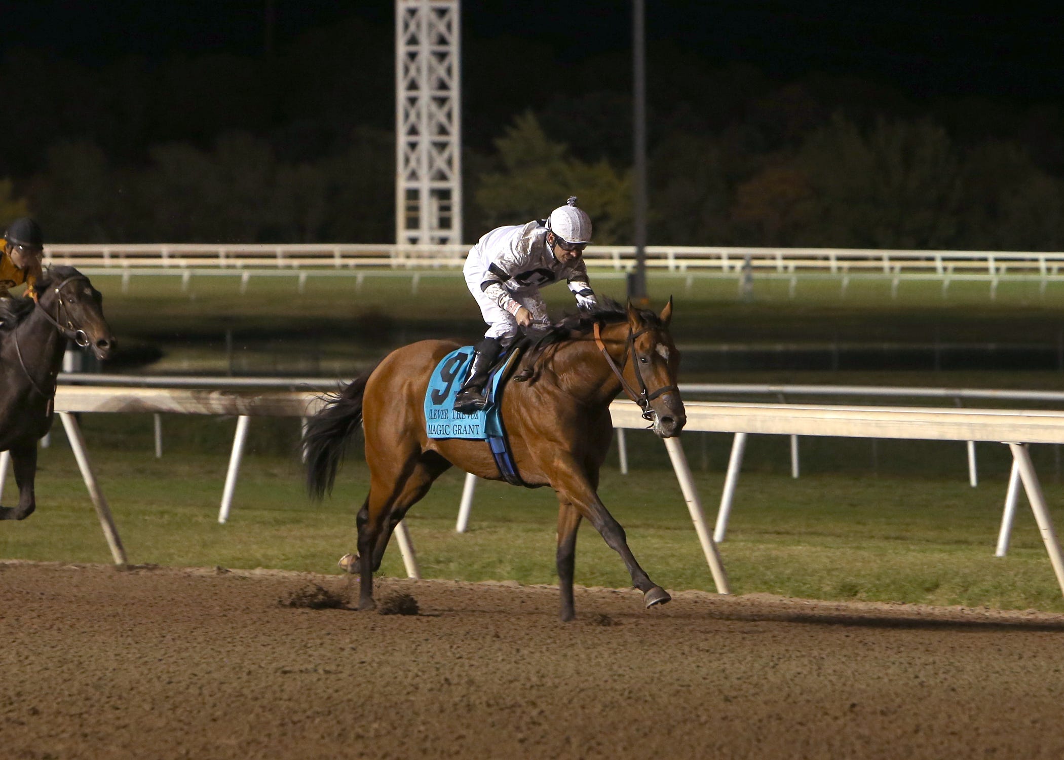 Magic Grant possible for Springboard Mile