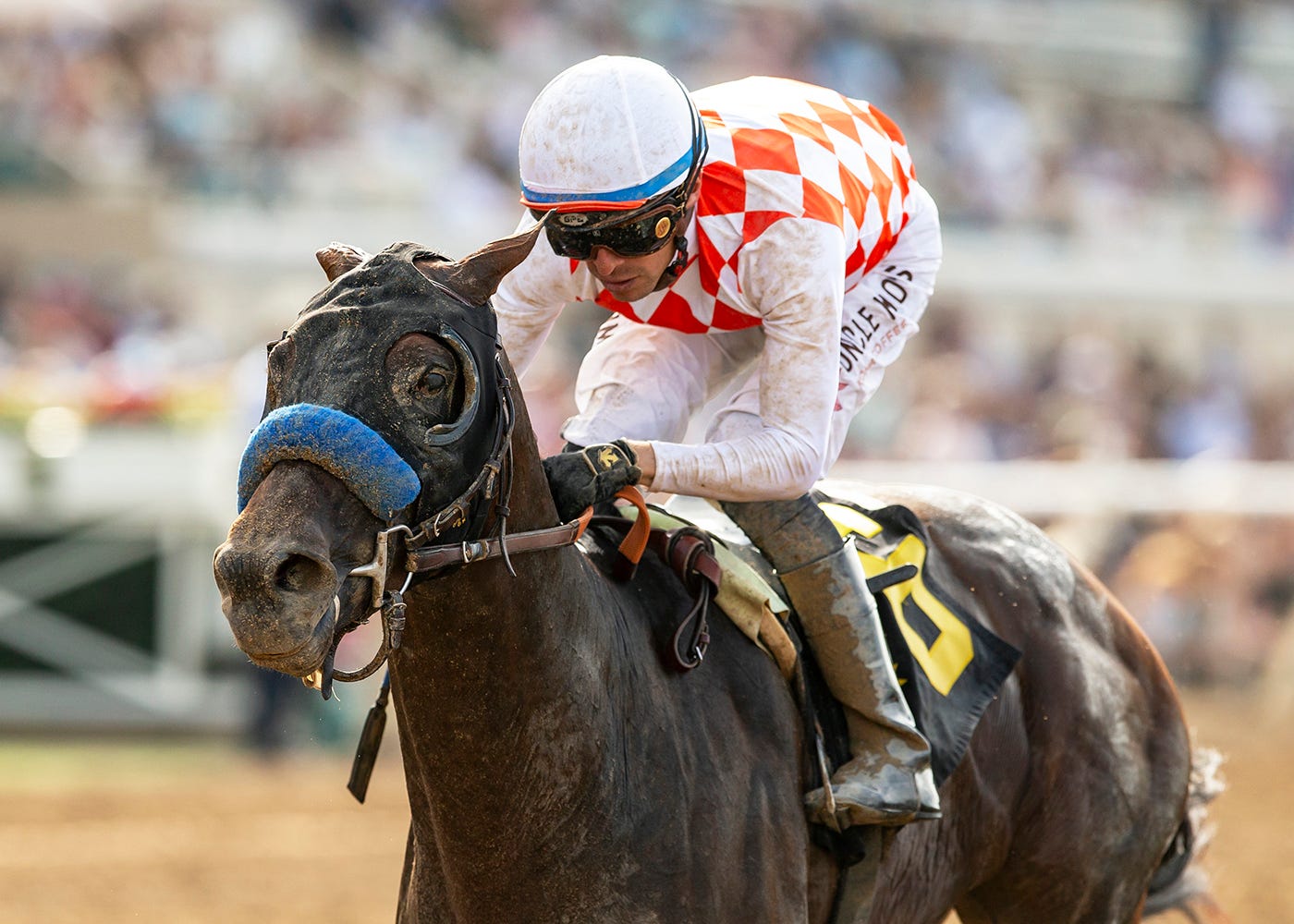 Mr Fisk goes a little longer in Native Diver Stakes