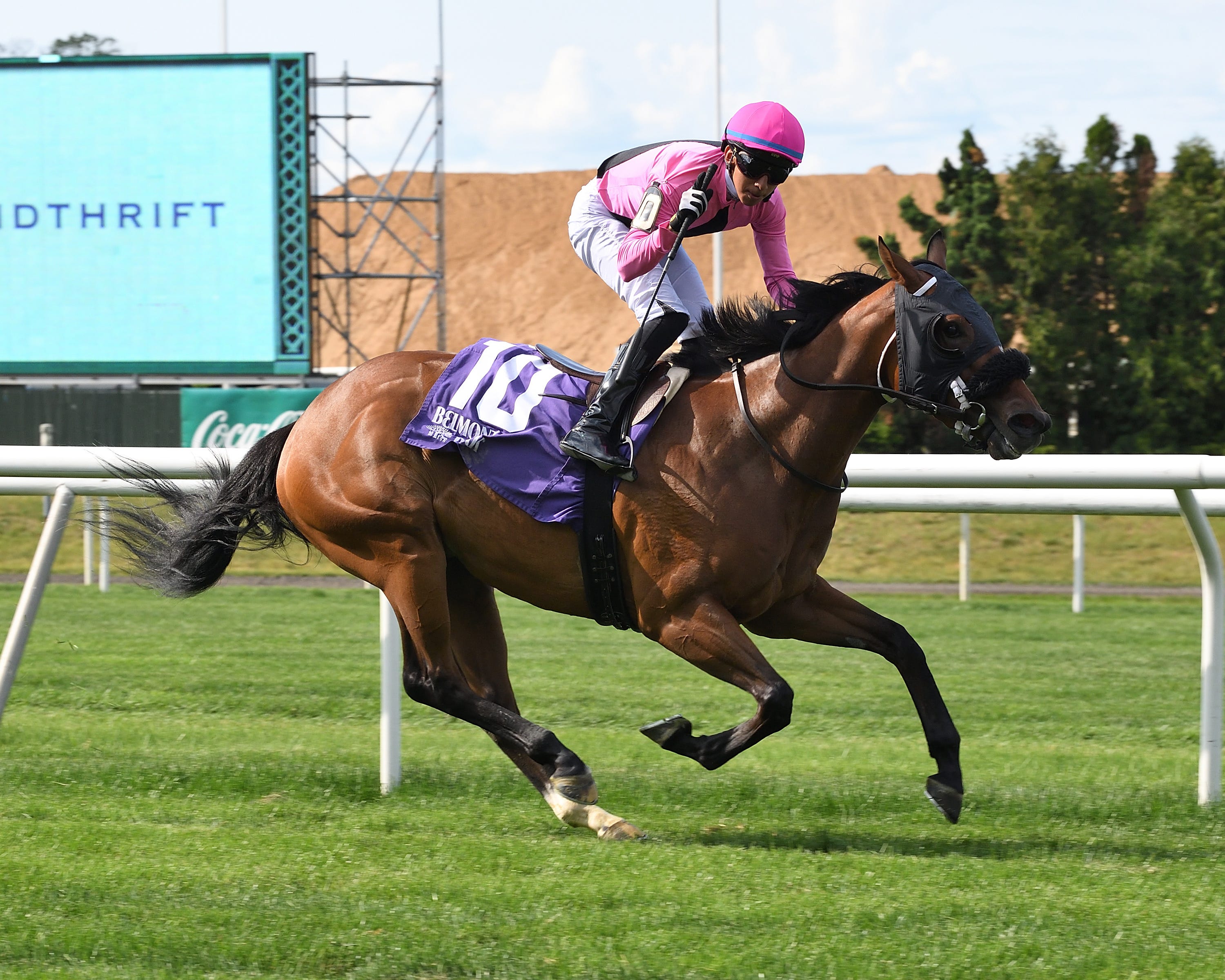 Timely Conquest gets a reset in cutback to six furlongs