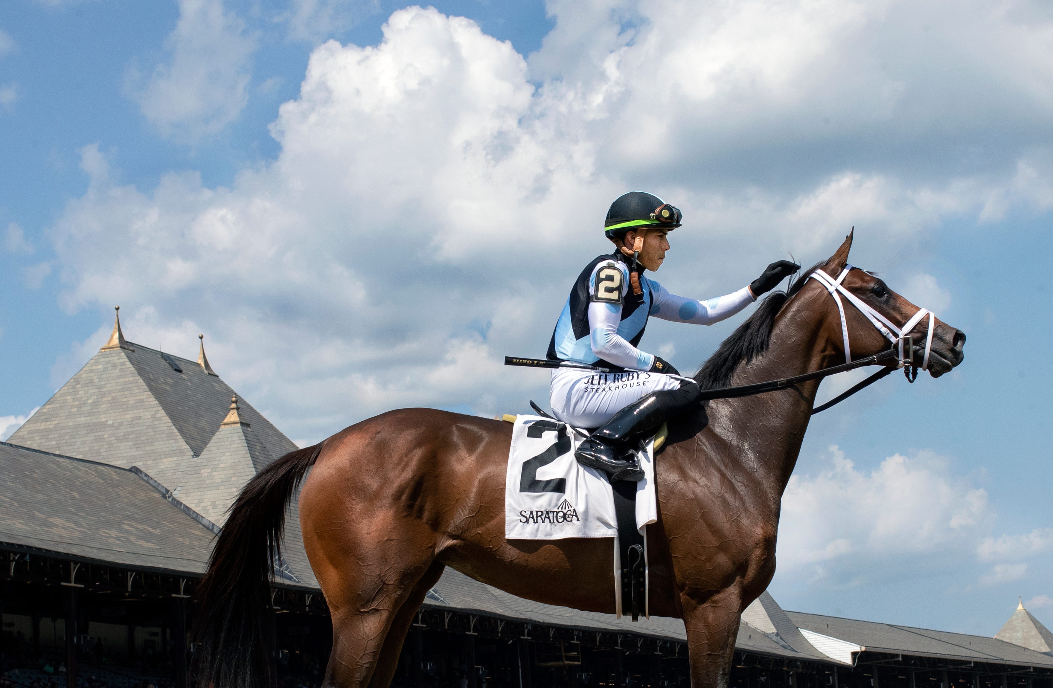 Nest, the champion 3-year-old filly of 2022, has been retired; will be ...