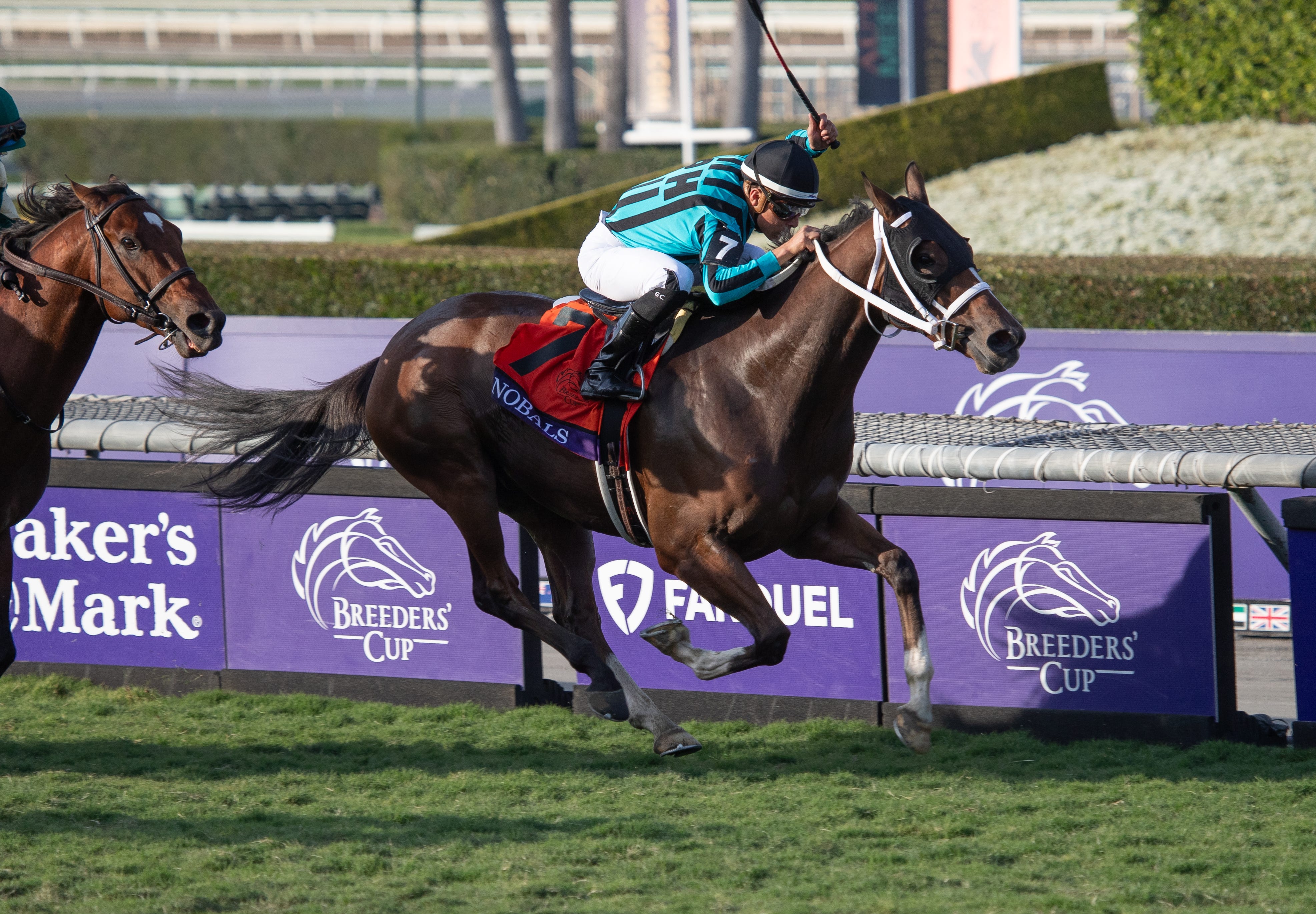 Breeders' Cup Turf Sprint: Nobals runs down pacesetters in upset score