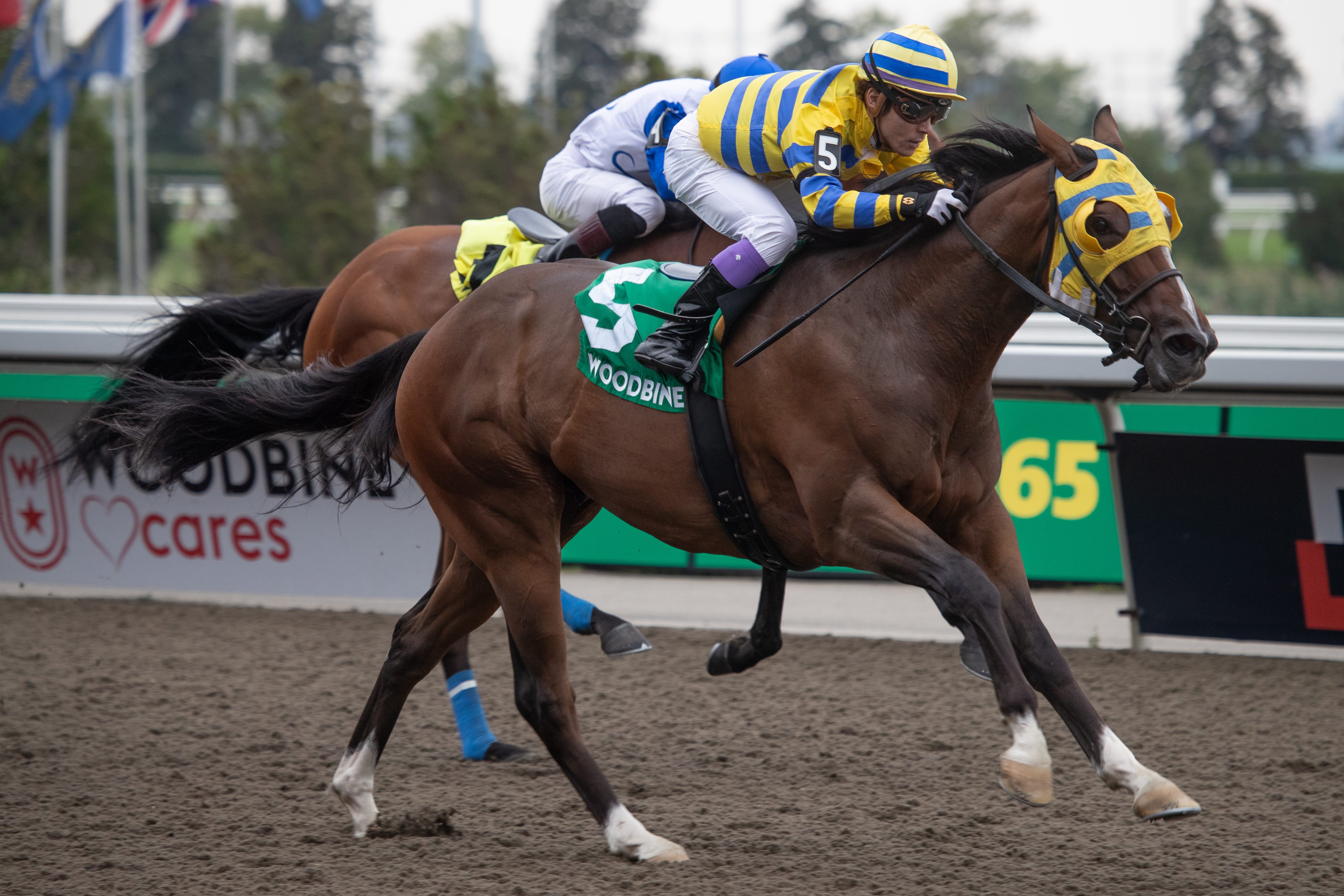 Patches O'Houlihan takes aim at year-end awards in Kennedy Road