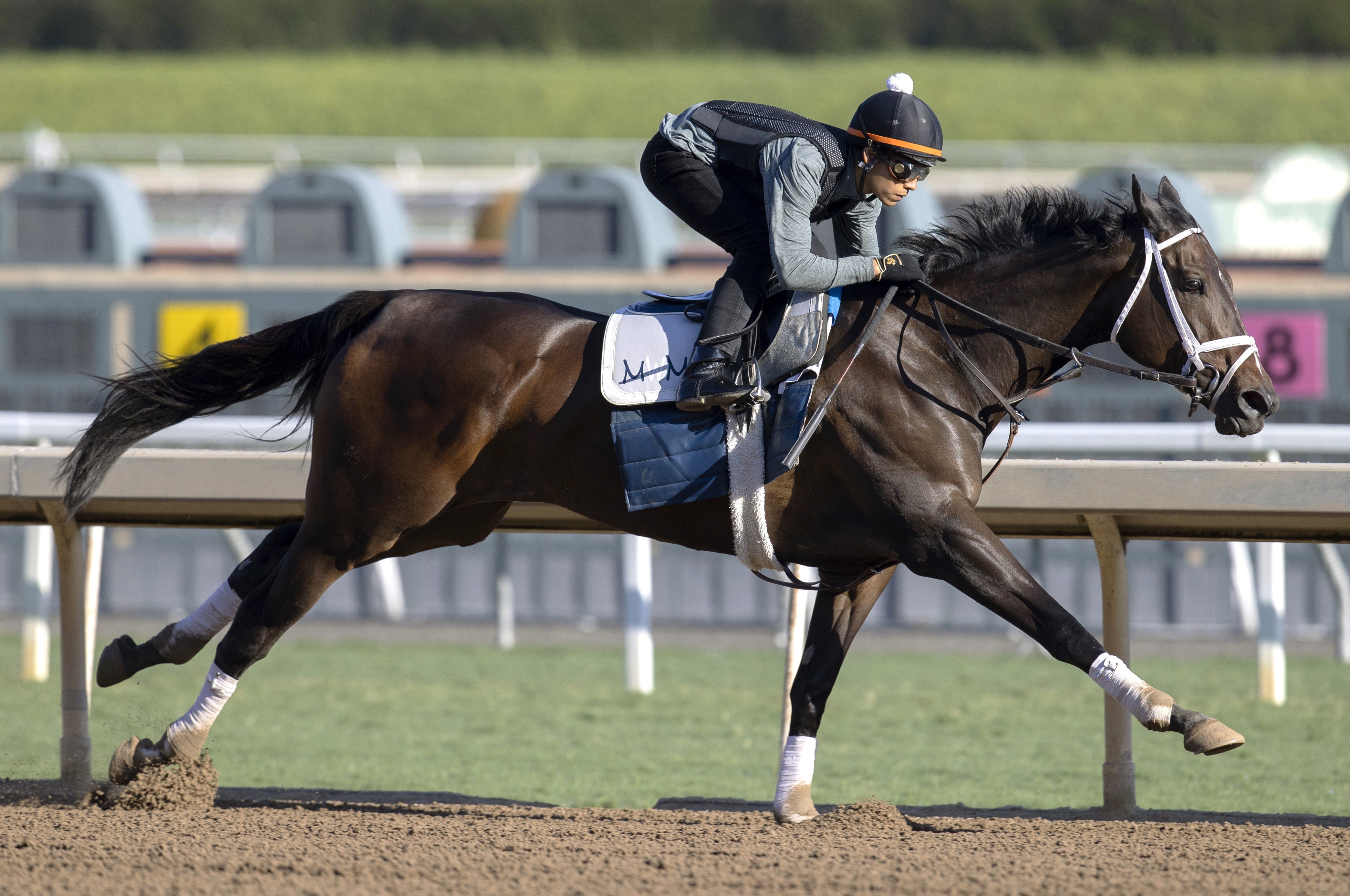 With prep under her belt, Queen Goddess ready for Grade 1 Matriarch