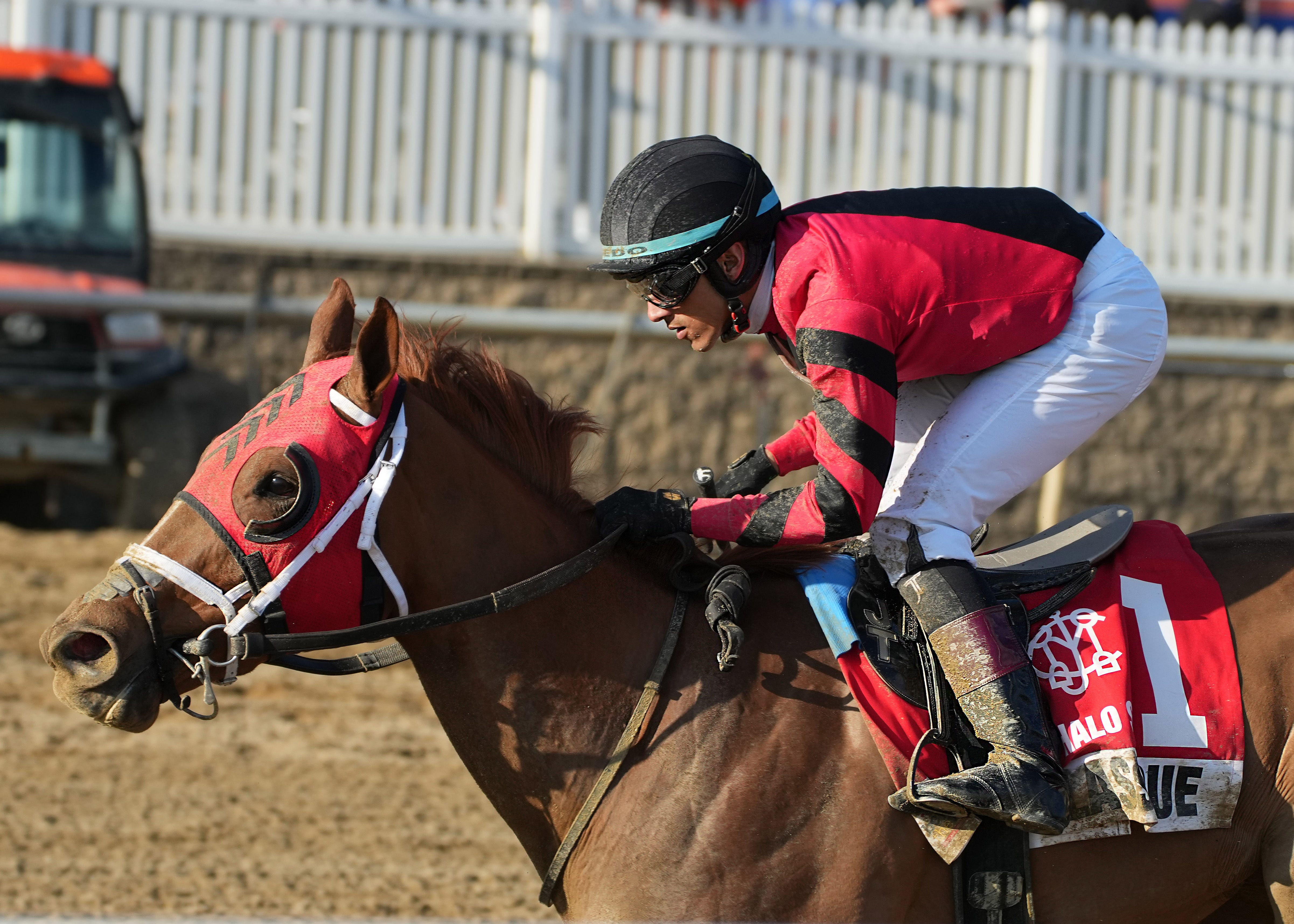 Cap Classique remains undefeated with Smart Halo victory