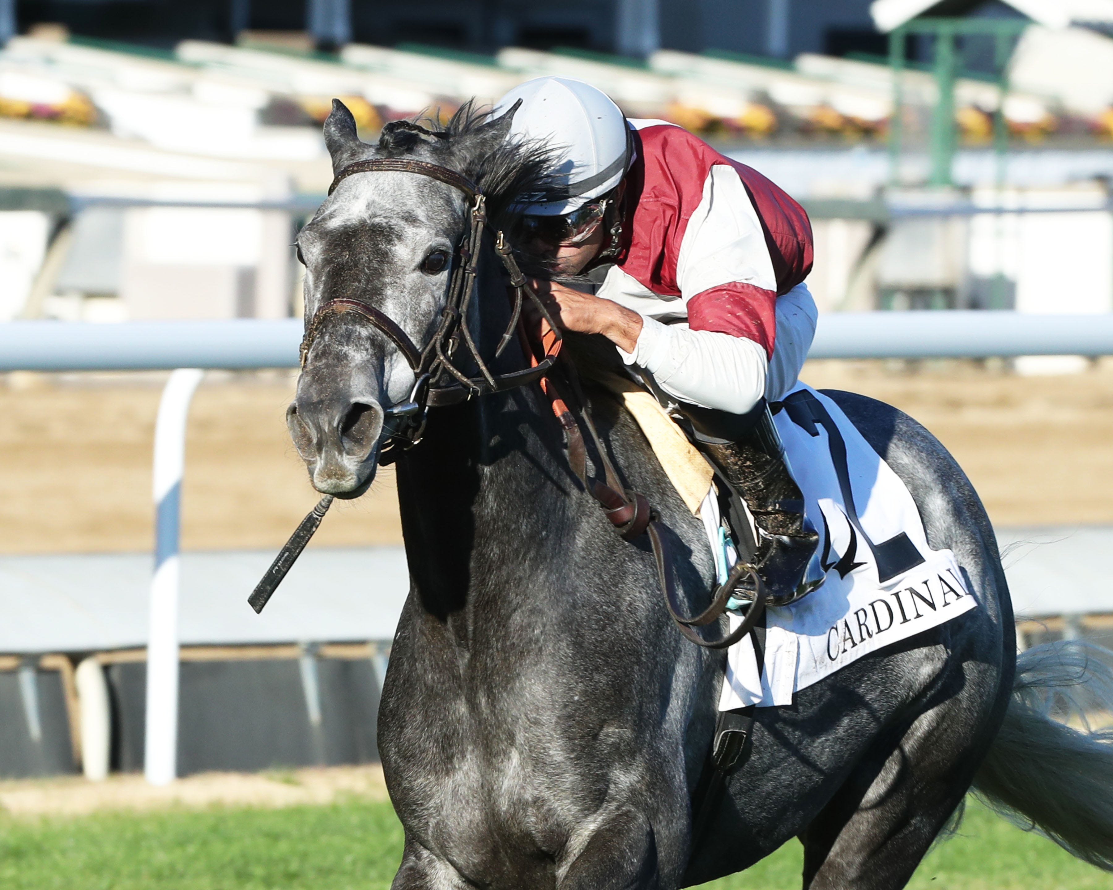 Star Fortress gobbles up turf to take Cardinal in U.S. debut