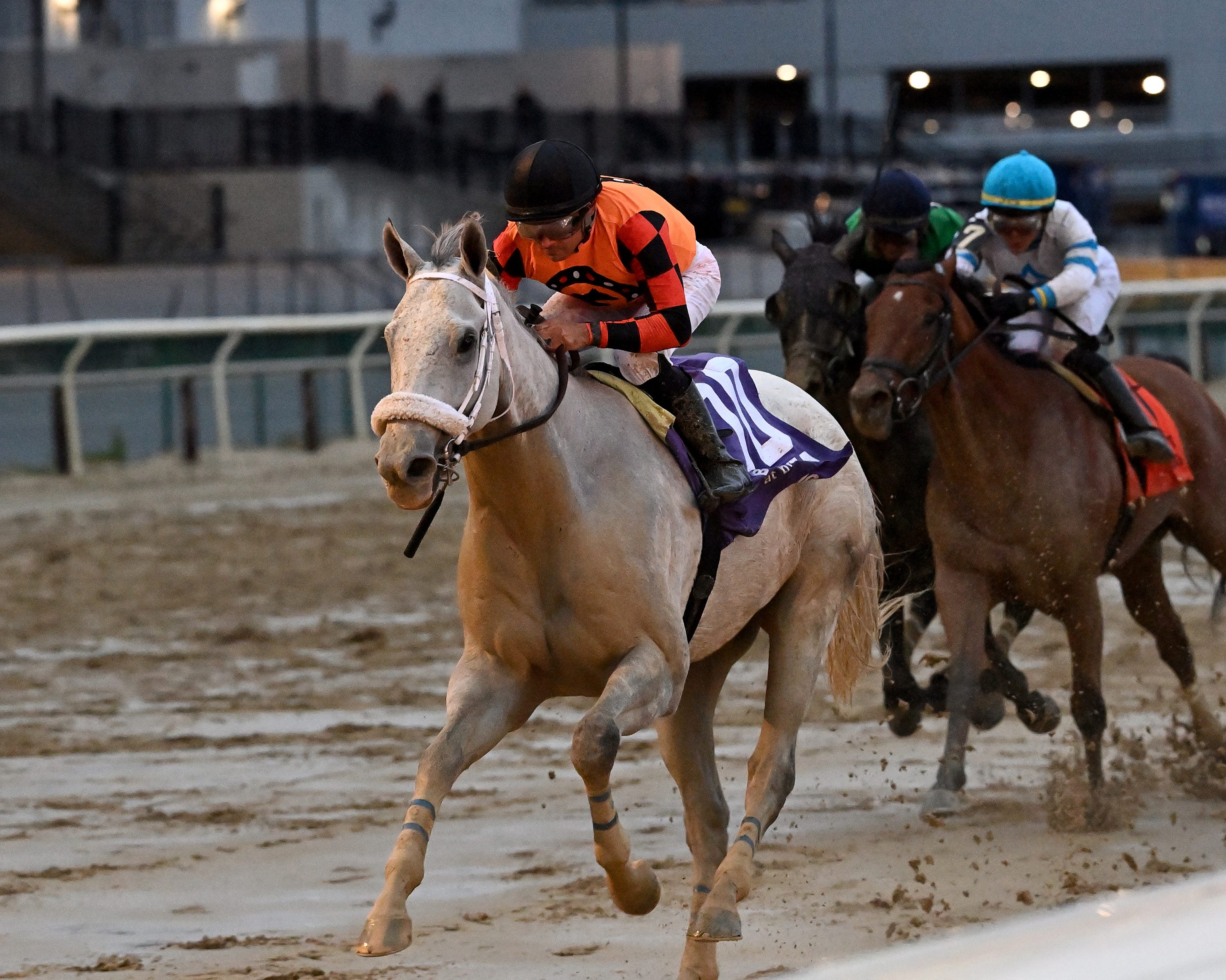 Straight Arrow headed back to turf