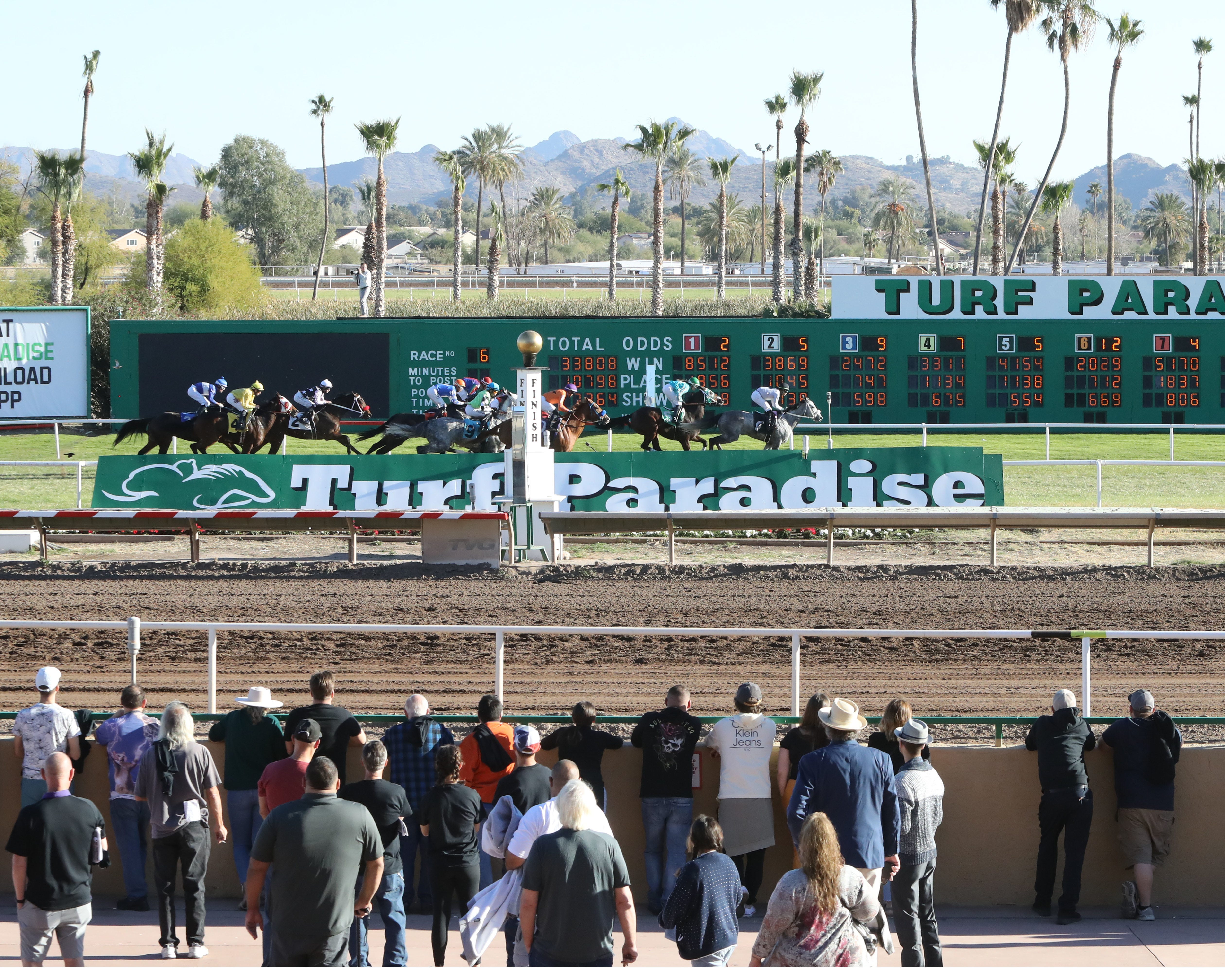 Turf Paradise meet to open Saturday after receiving 45-day conditional ...
