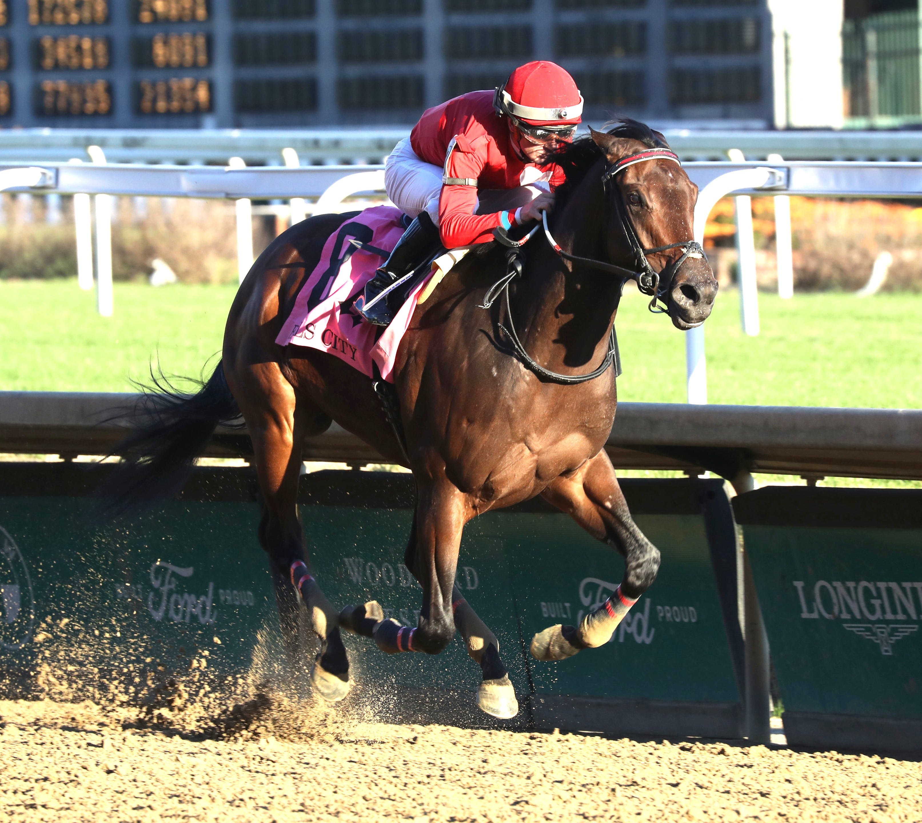 Odds-on Xigera turns Falls City into a one-horse race